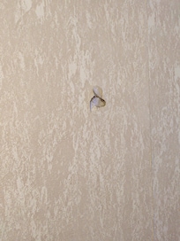 Walls were broken with a whole not sure why this was not fixed