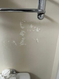 Paint was flaking off in the whole bathroom.