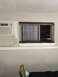 Window in basement facing high traffic road