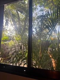 Garden view room
