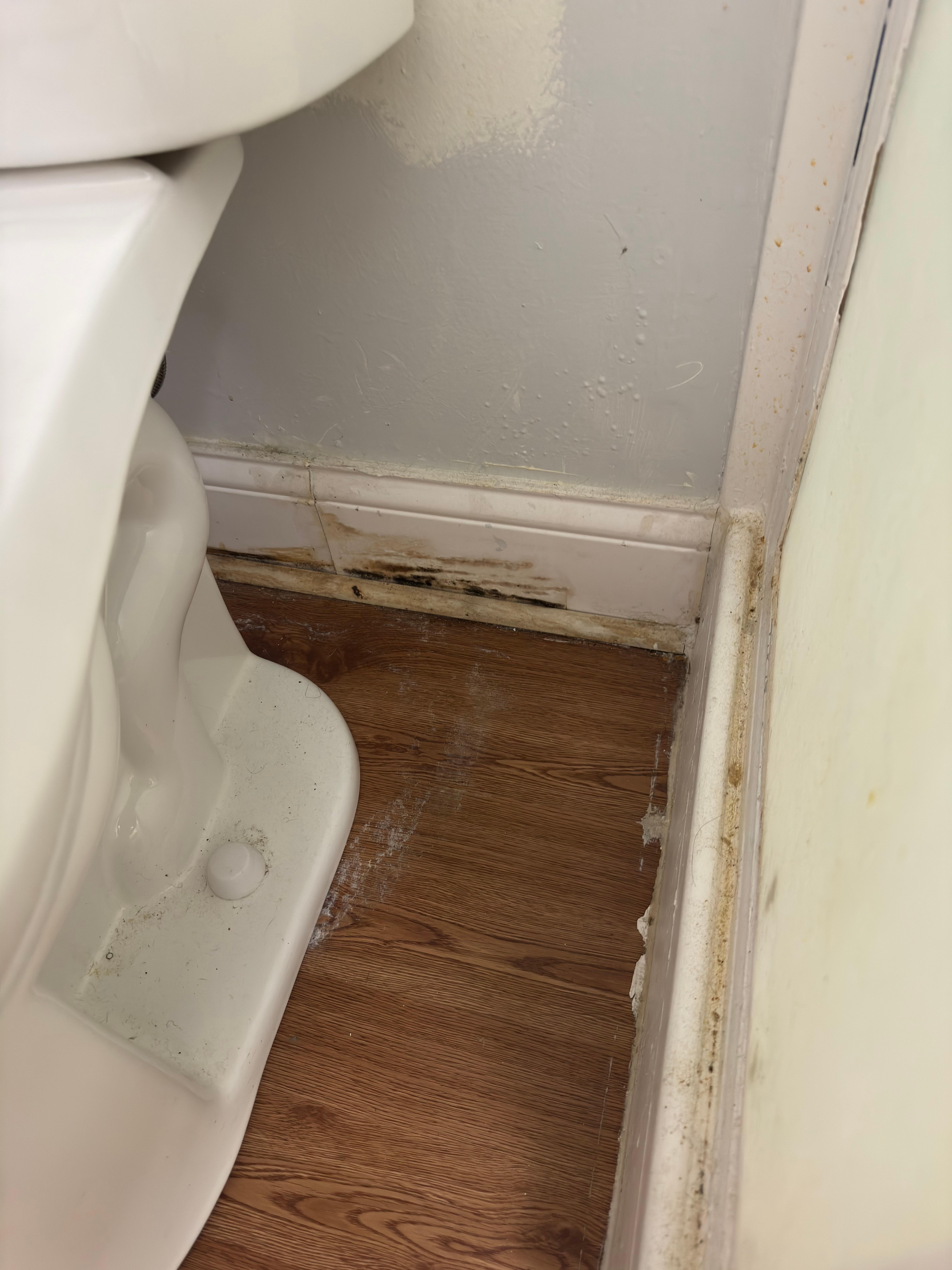 The floor and wall behind the toulet