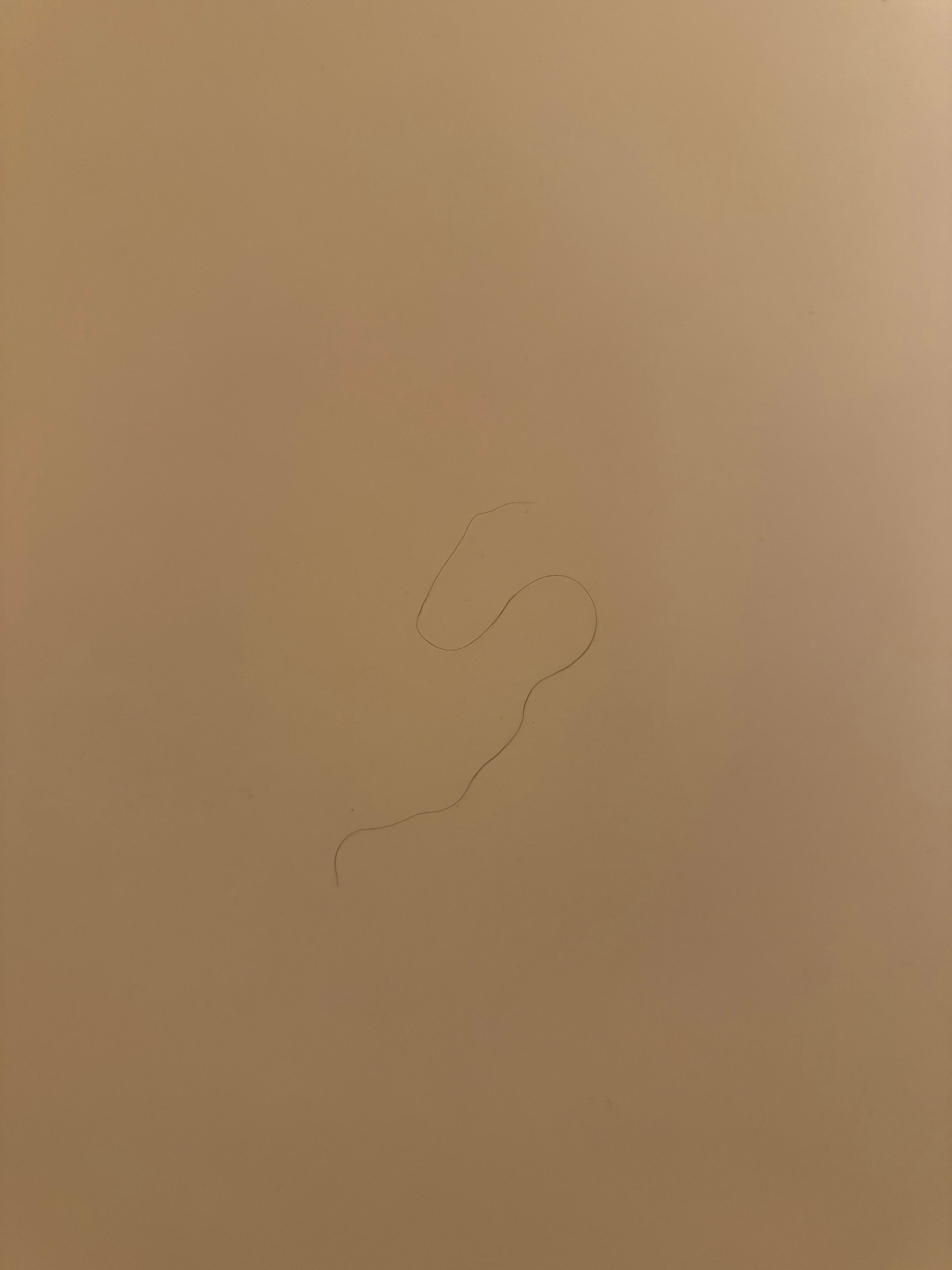 浴缸內有毛髮