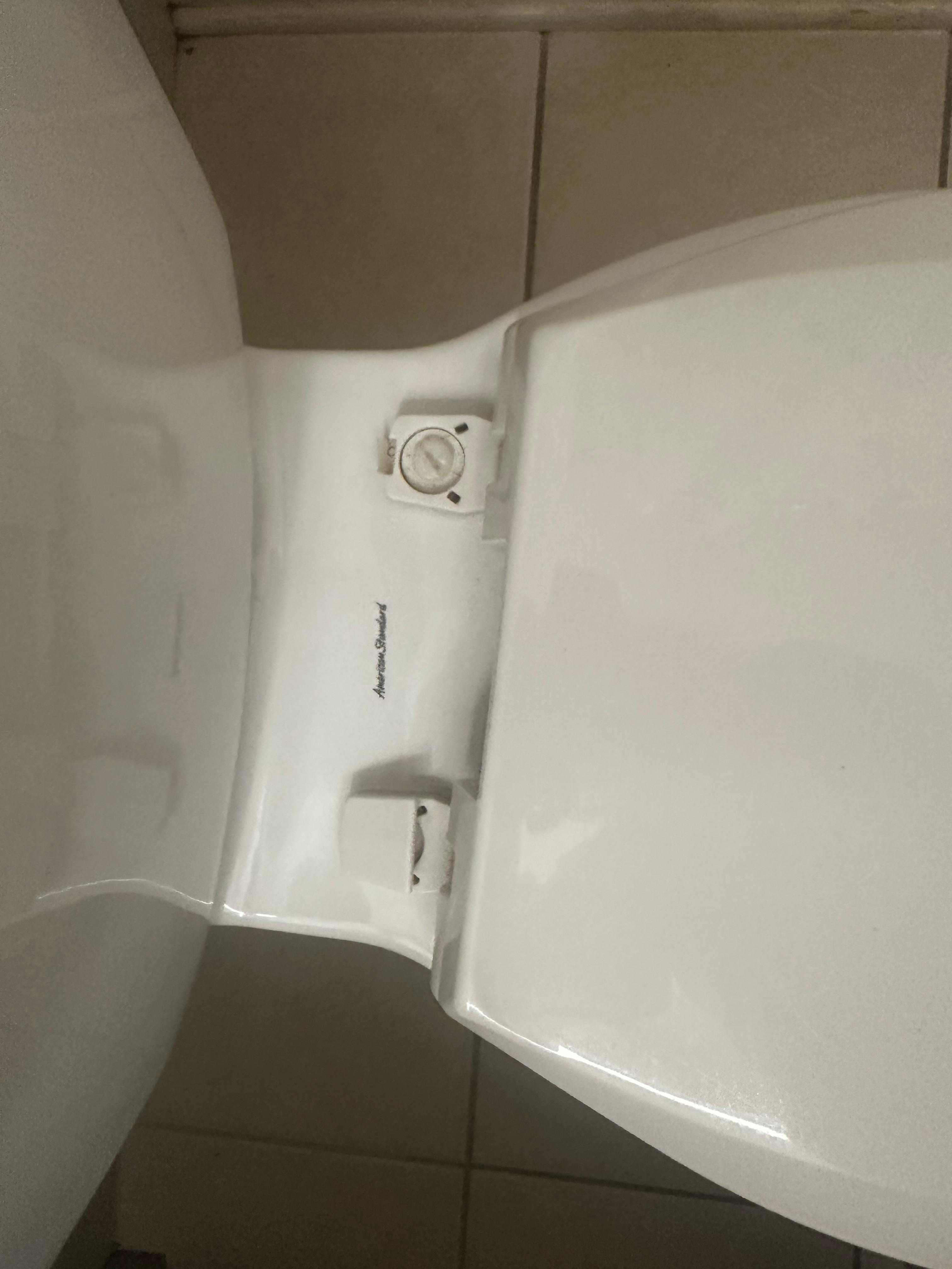 Broken toilet seat