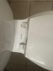 Broken toilet seat