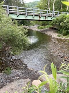 swimming hole