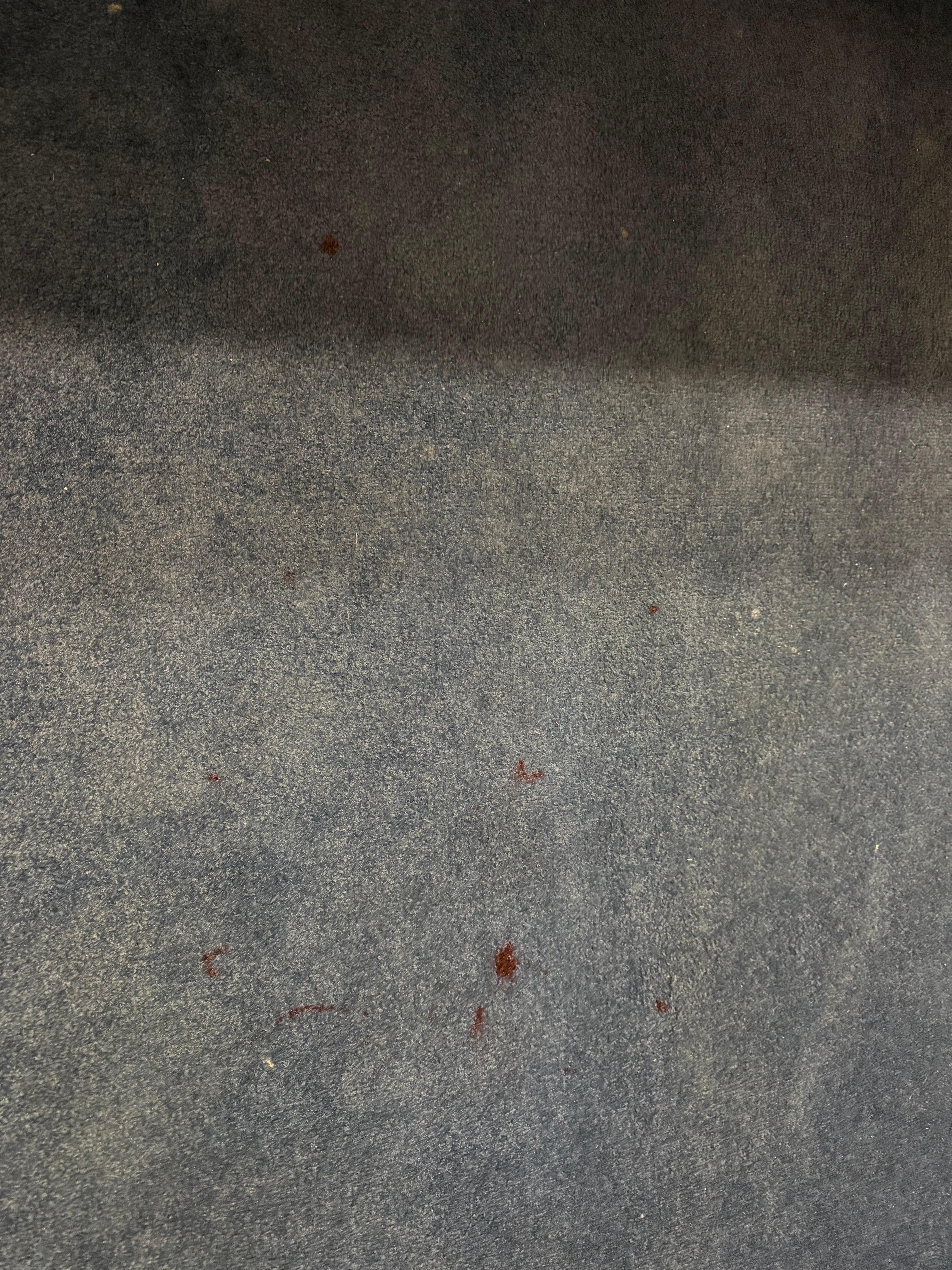 Carpet bloodstained 
