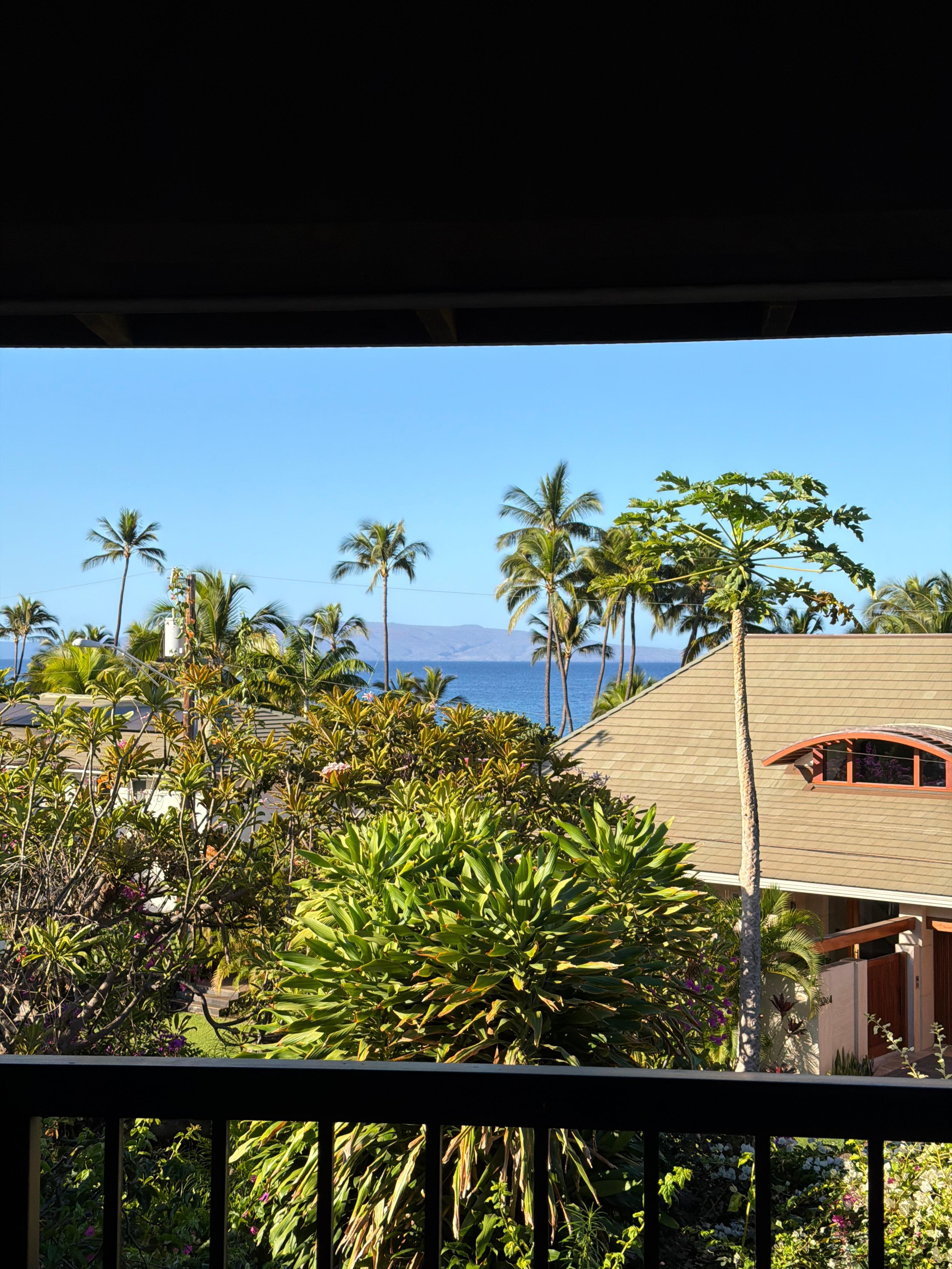 View from the lanai