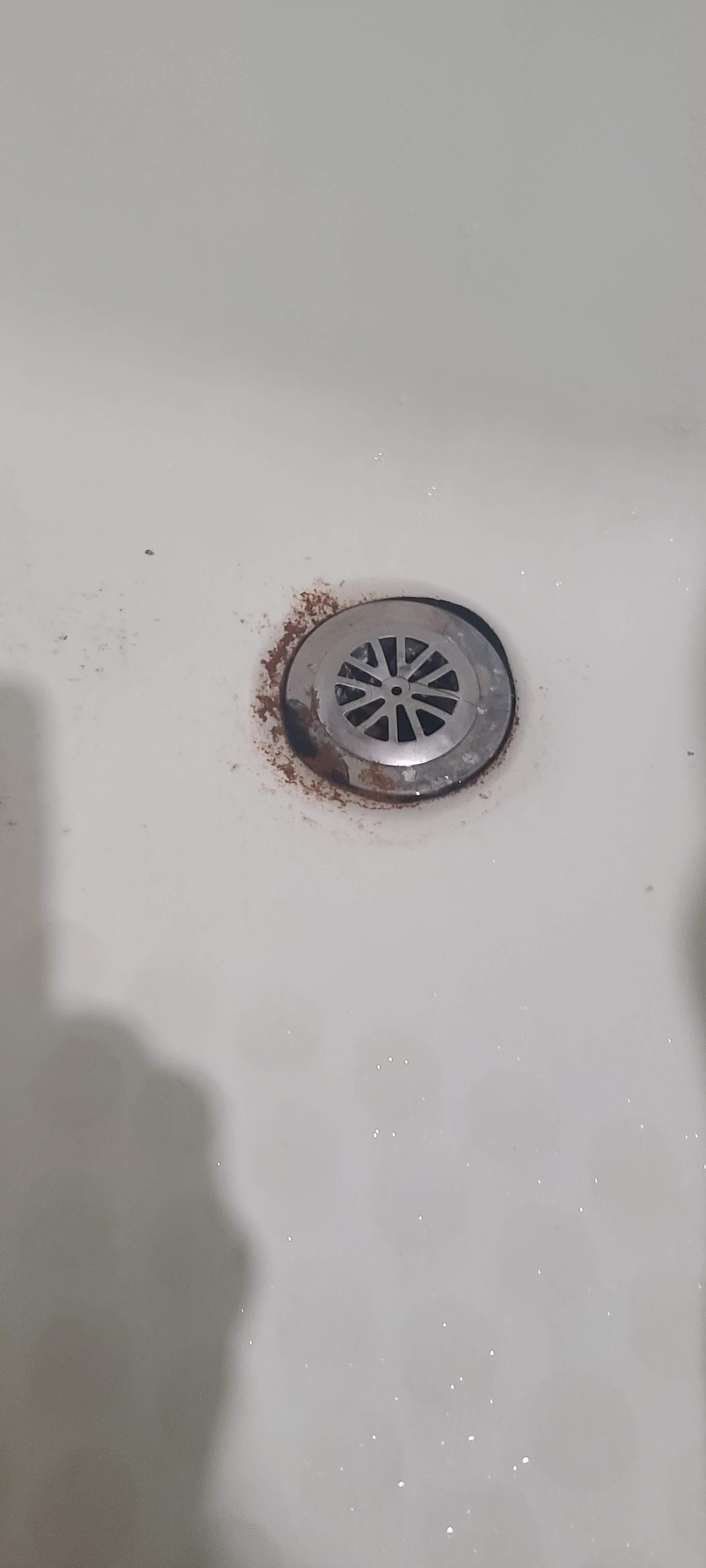 filthy tub drain
