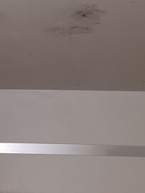 mold on the ceiling