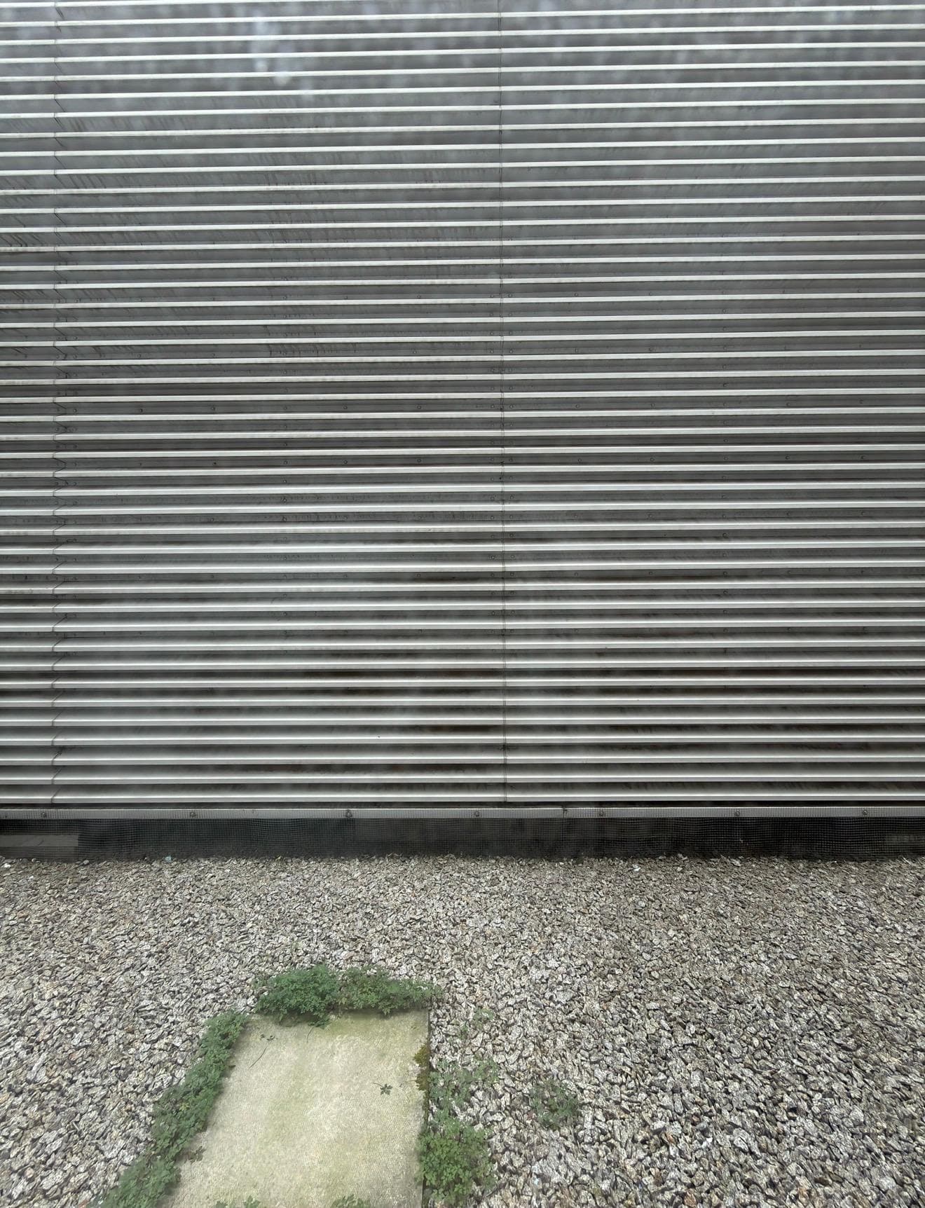 View from room 555 (all family rooms)