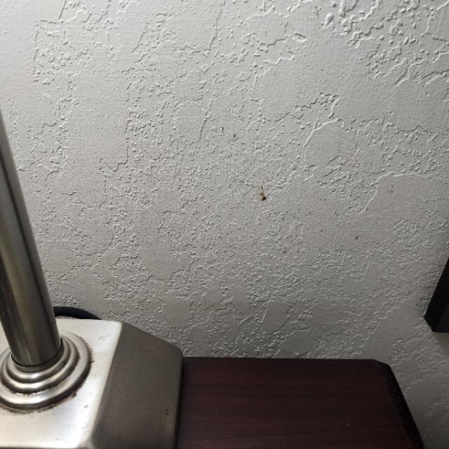 who knows what's on wall 