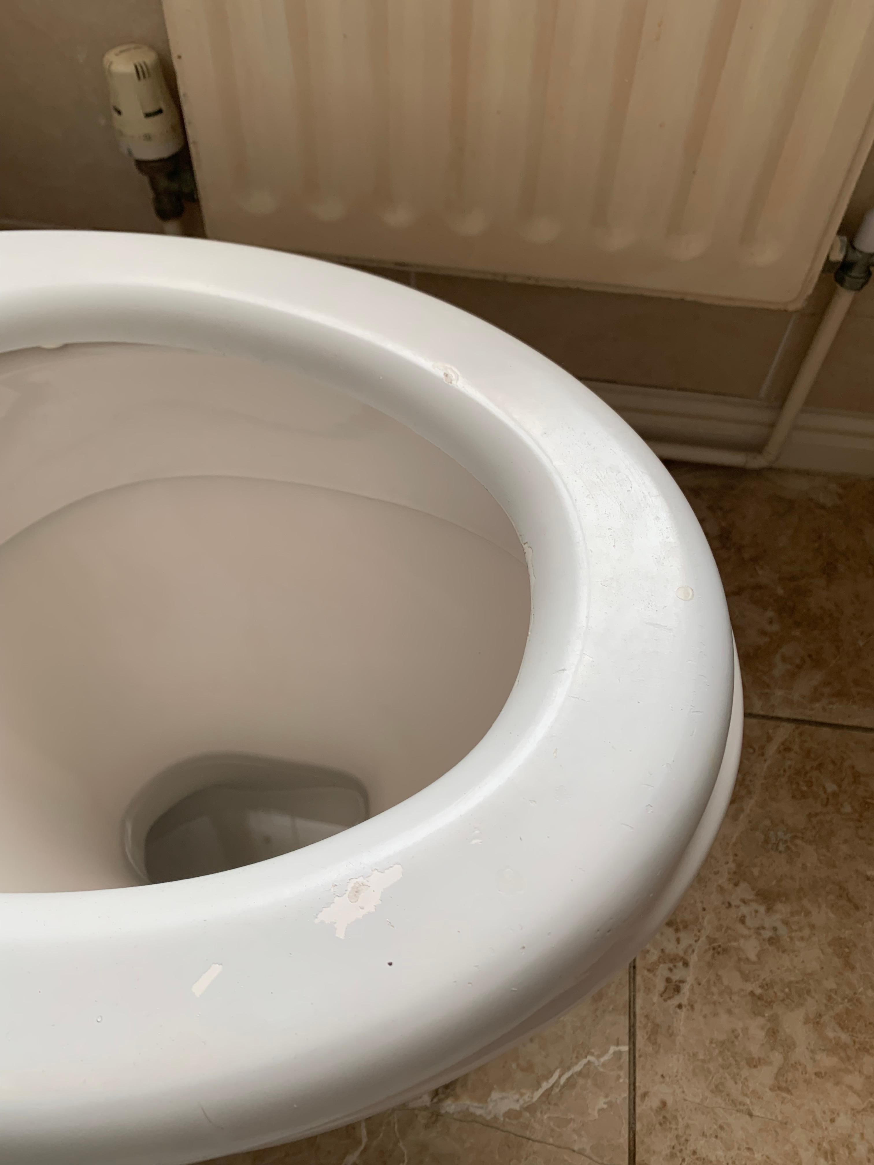Chipped toilet seat