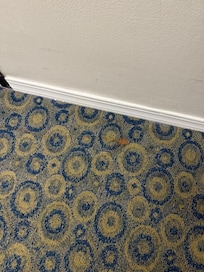 Carpet was dirty