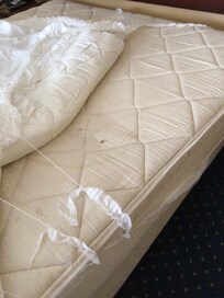 Holes in broken down and stained matress