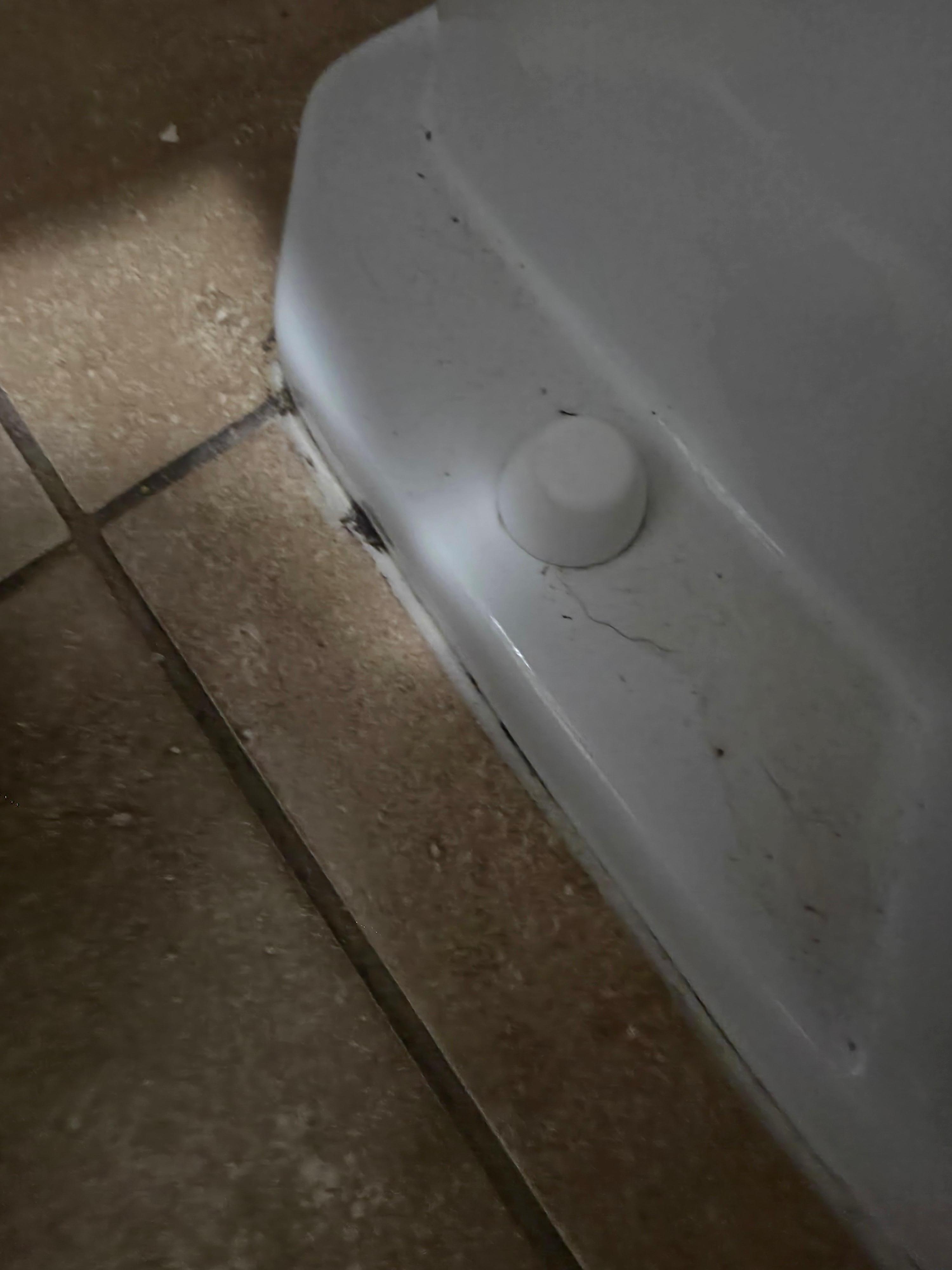 Pee and pubic hair around base of toilet