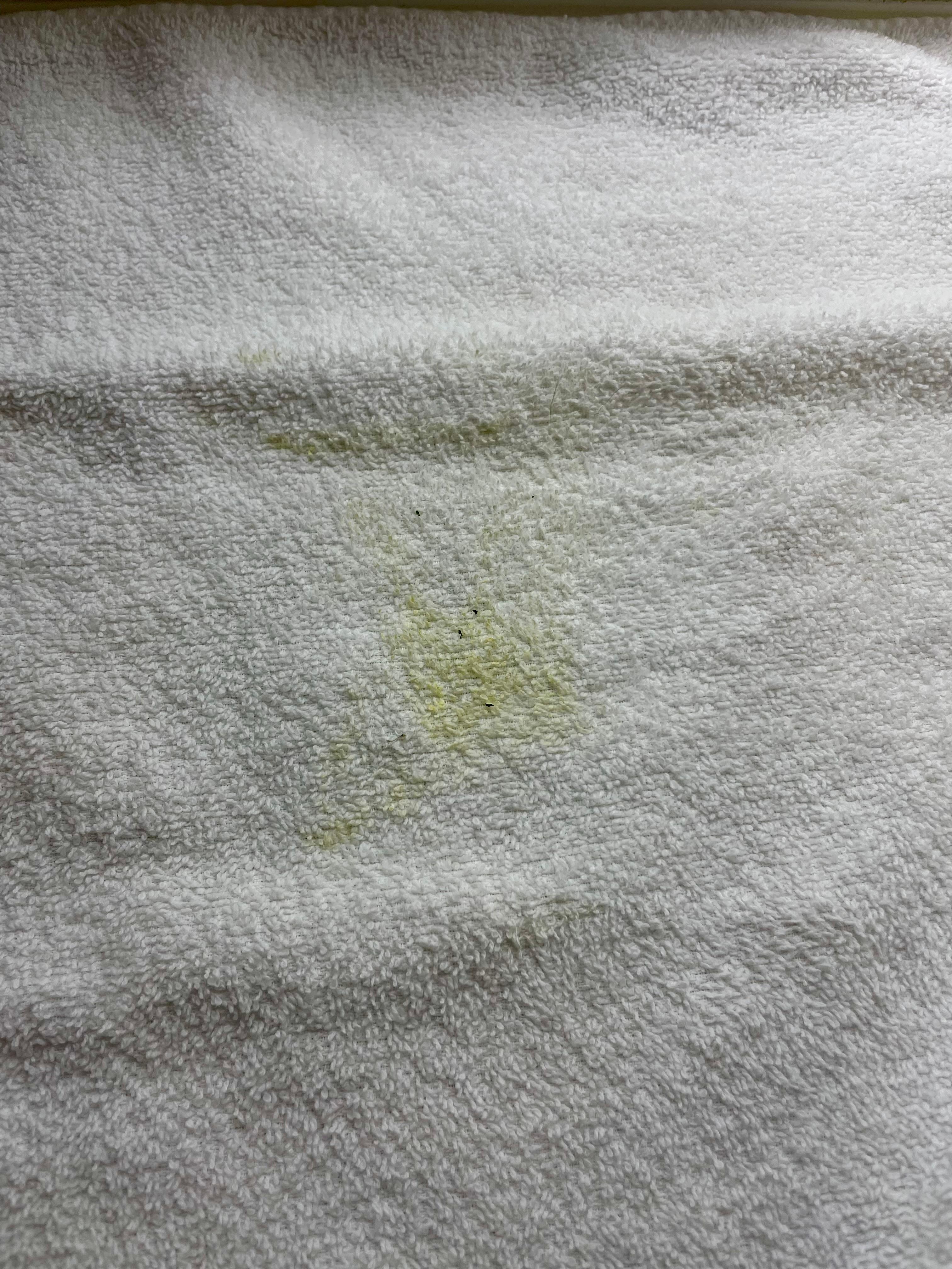 Mystery yellow goo on the bathroom towel