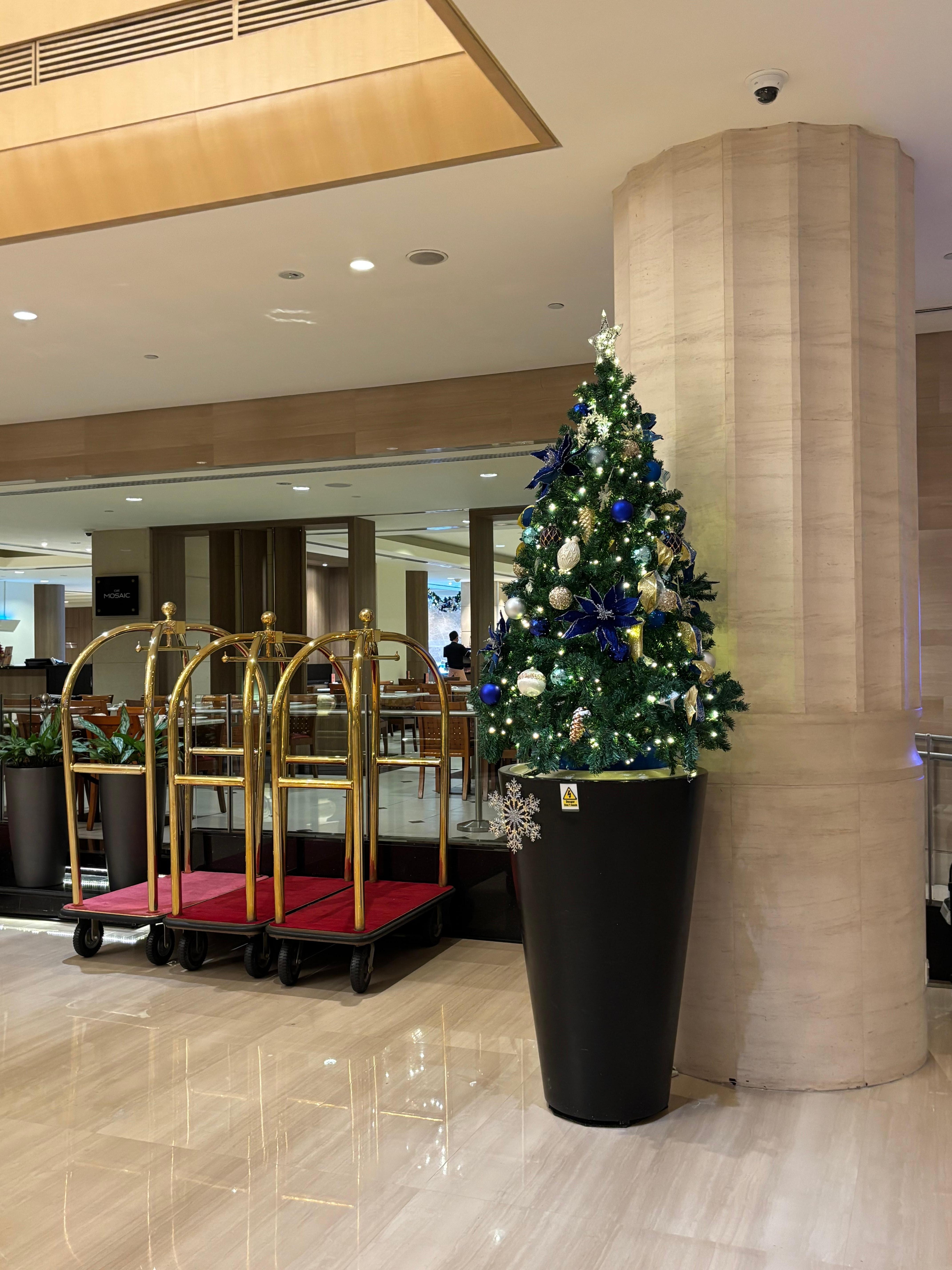 大廳的可愛盆栽