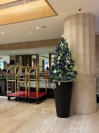 大廳的可愛盆栽