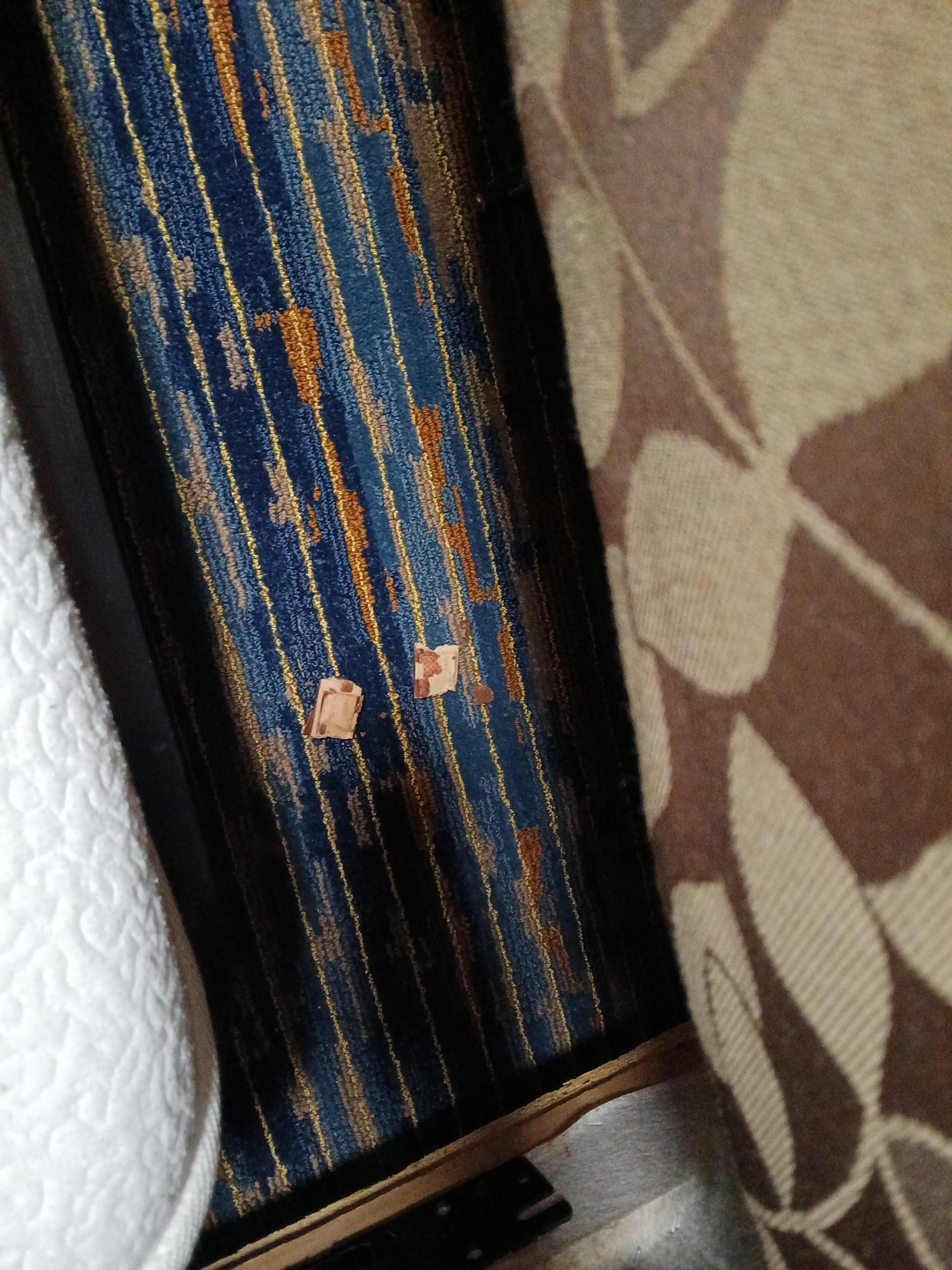 Cookies in the floor under the couch