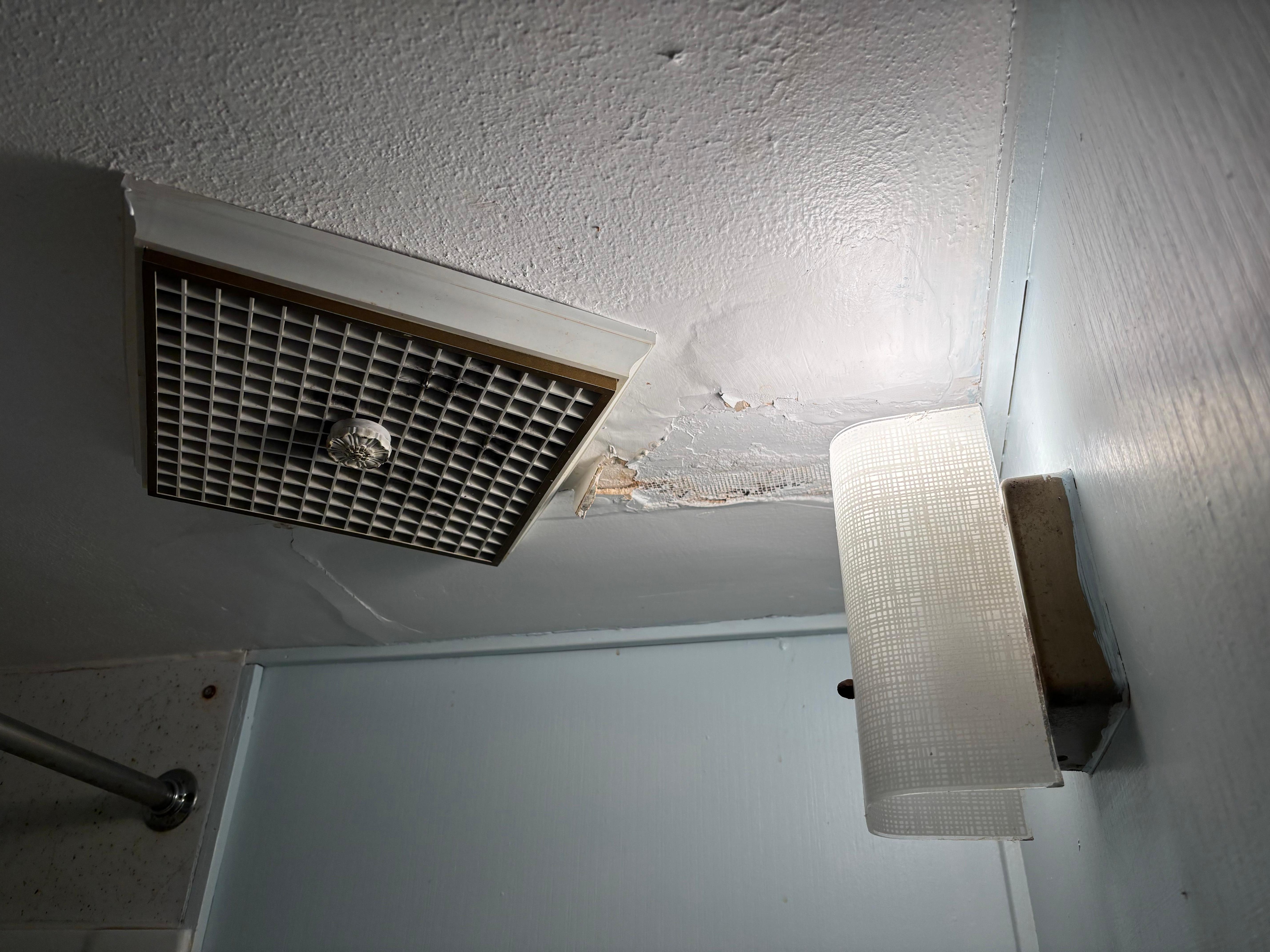 Bathroom ceiling. I’m sure this place had unhealthy levels of mold spores in the air.
