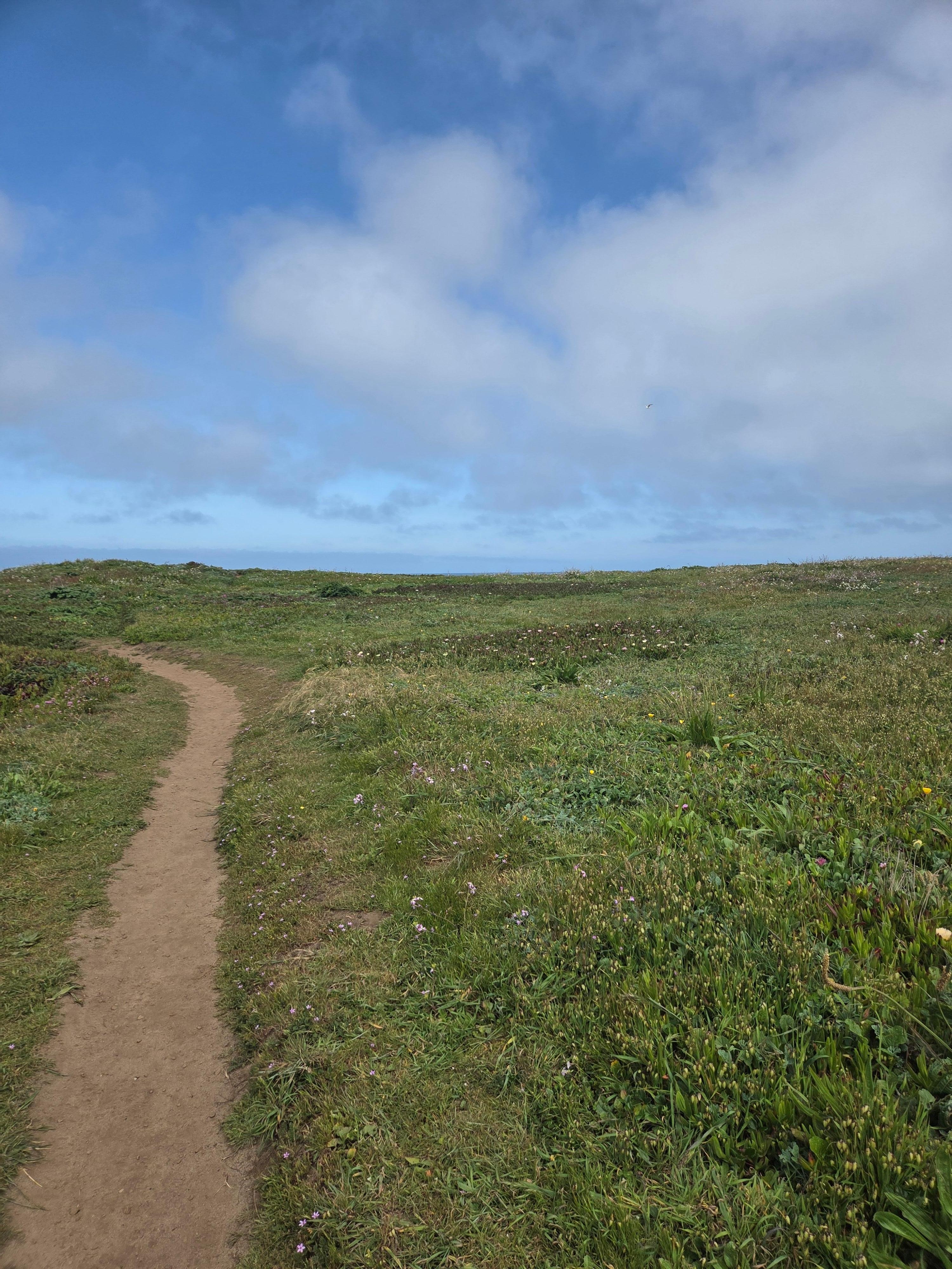 Trail along the bluff