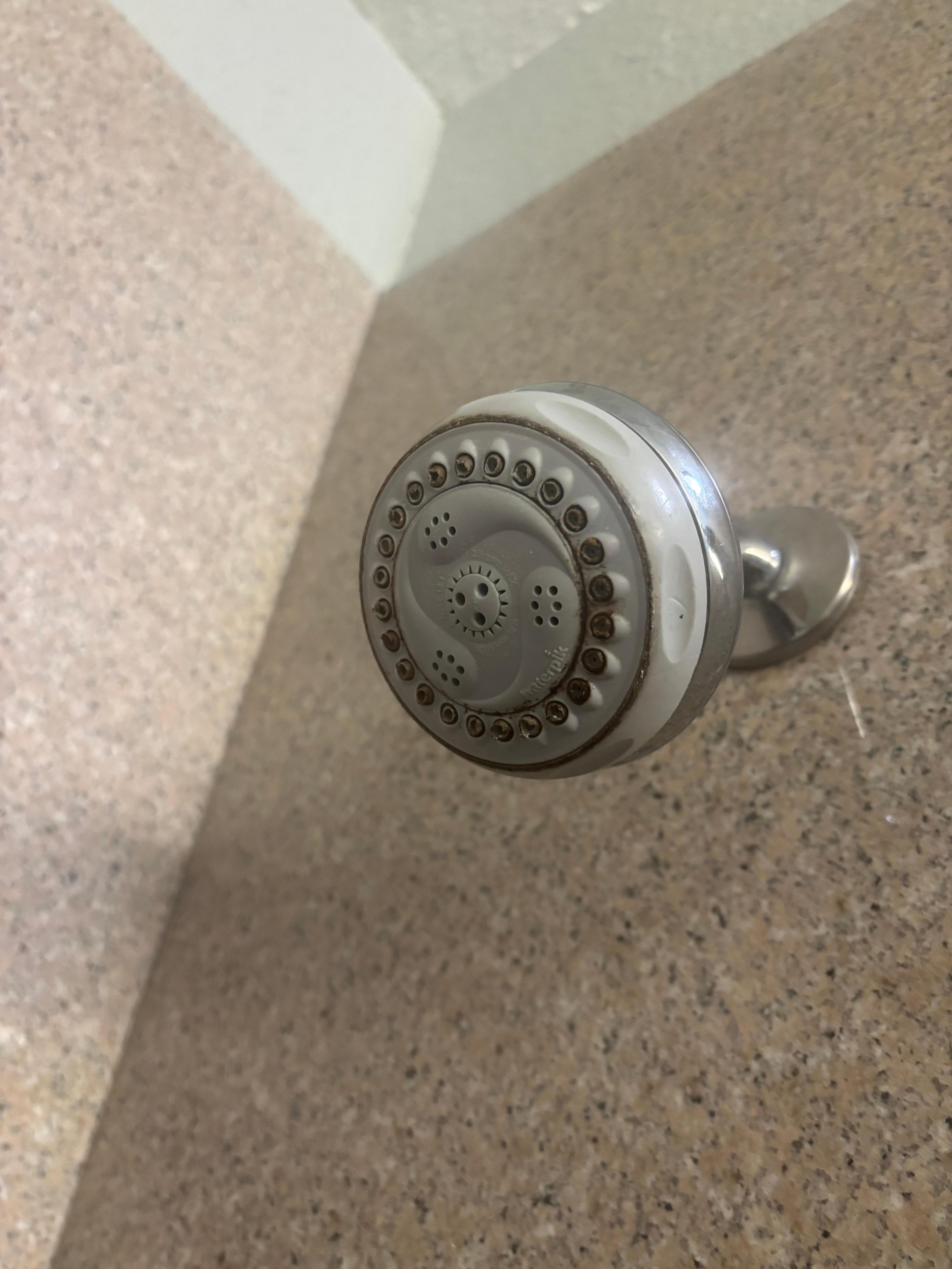 Clogged shower head