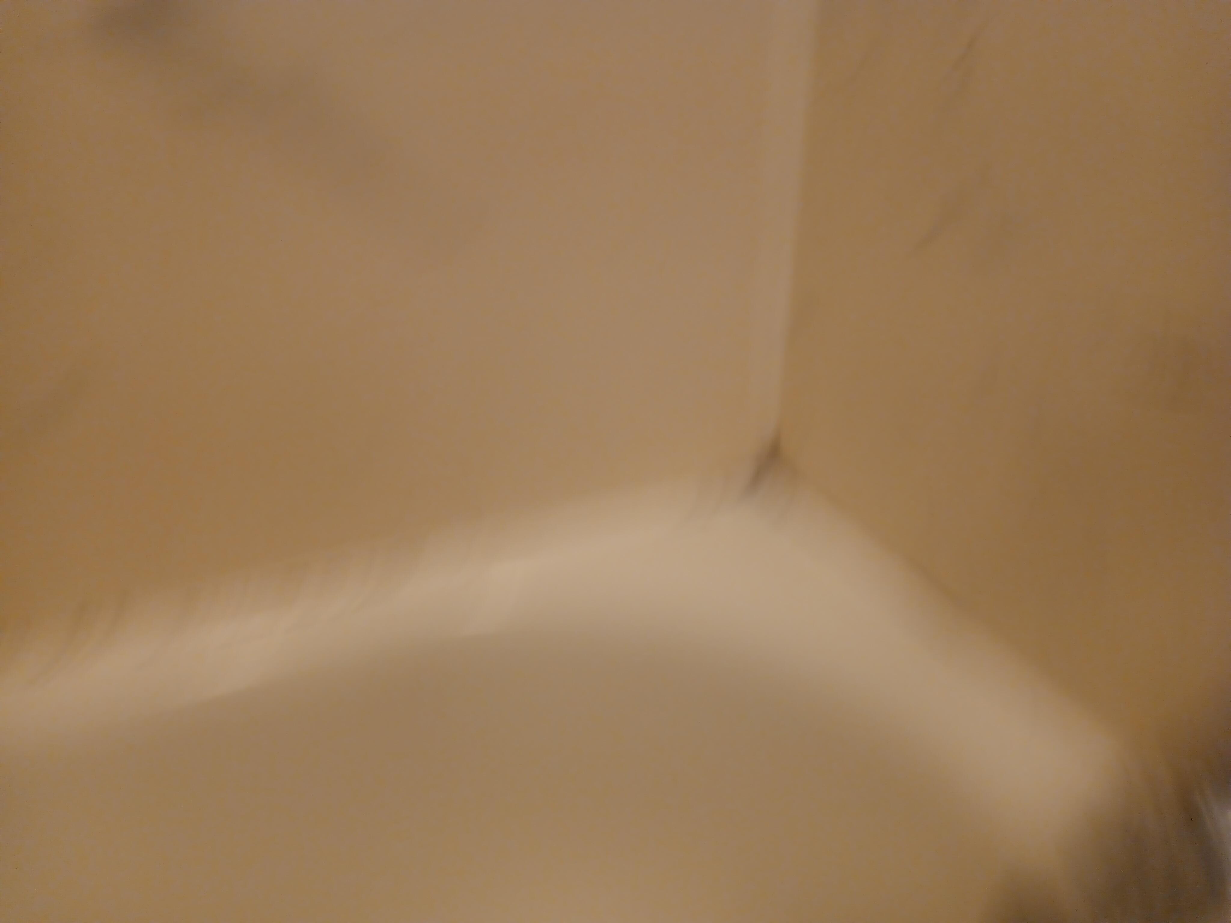 Black mold 