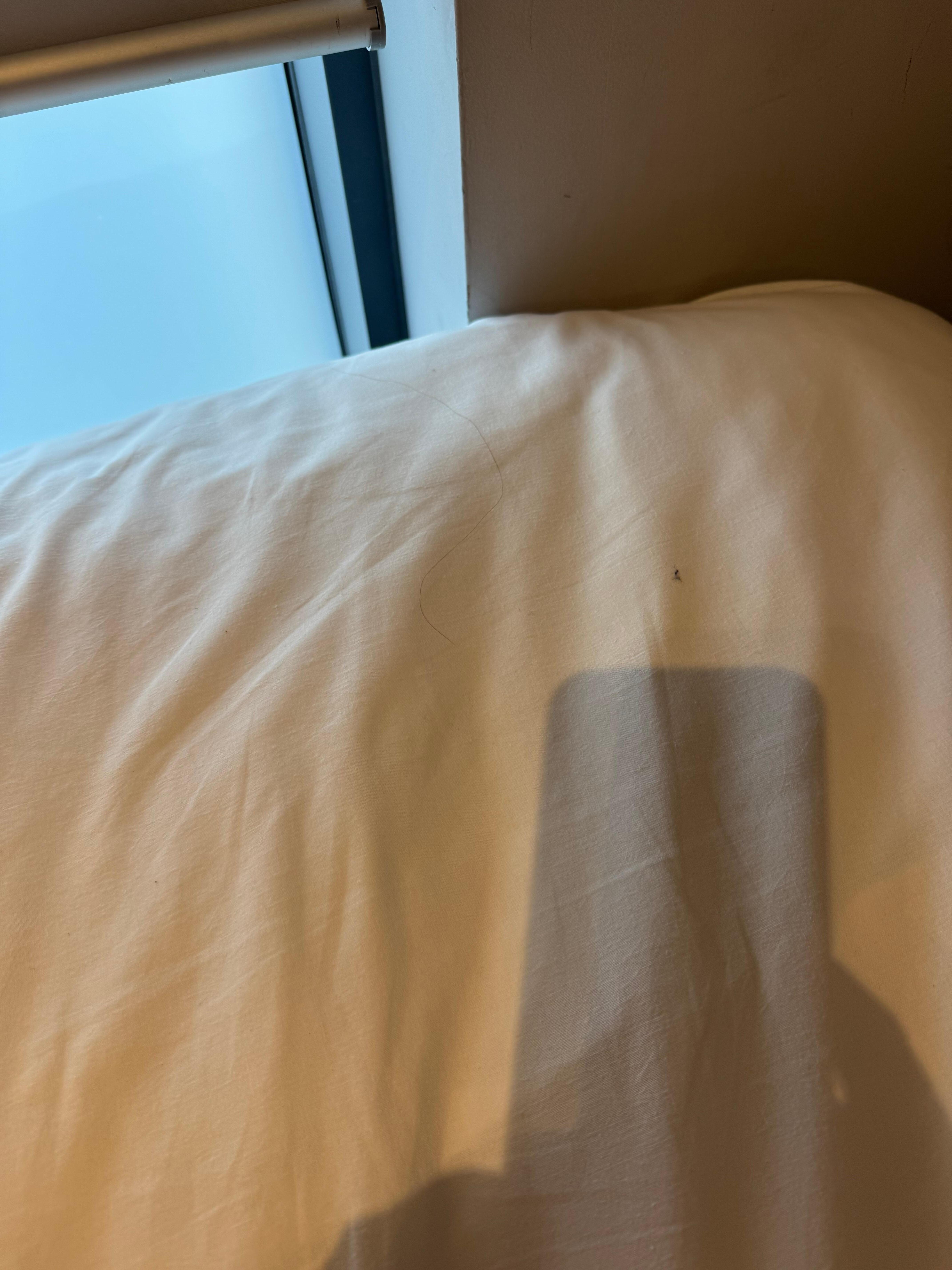 Hairs on bed, not mine, I’m blonde hairs very long and black