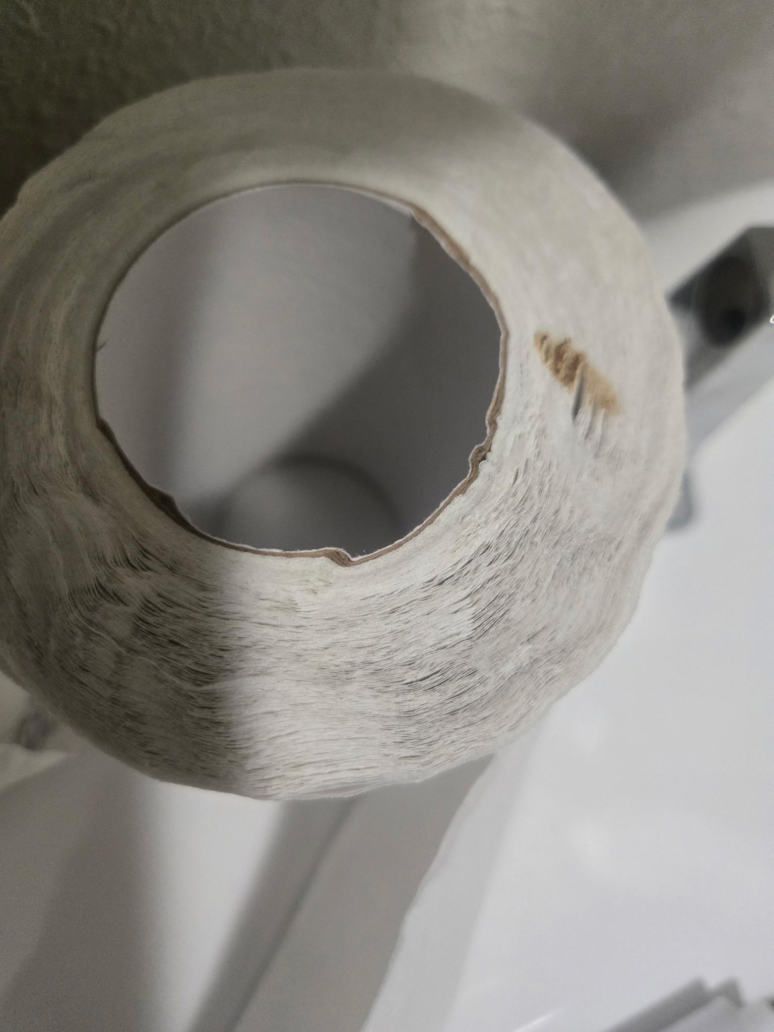 Human Waste on Toilet Paper rol