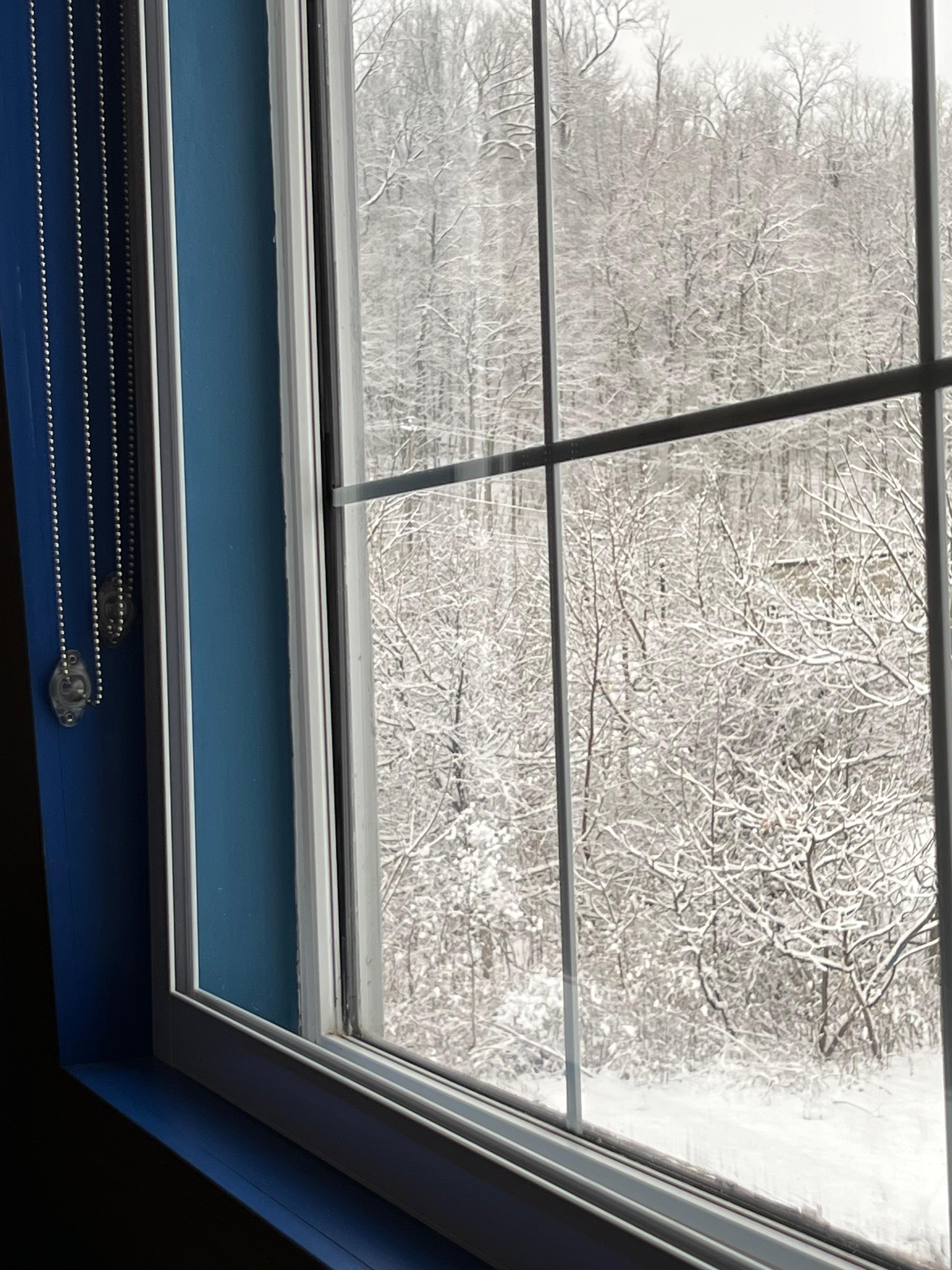 It snowed in the early morning hours and was so pretty! 