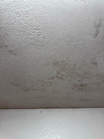 Likely black mold or mildew on ceiling of shower.