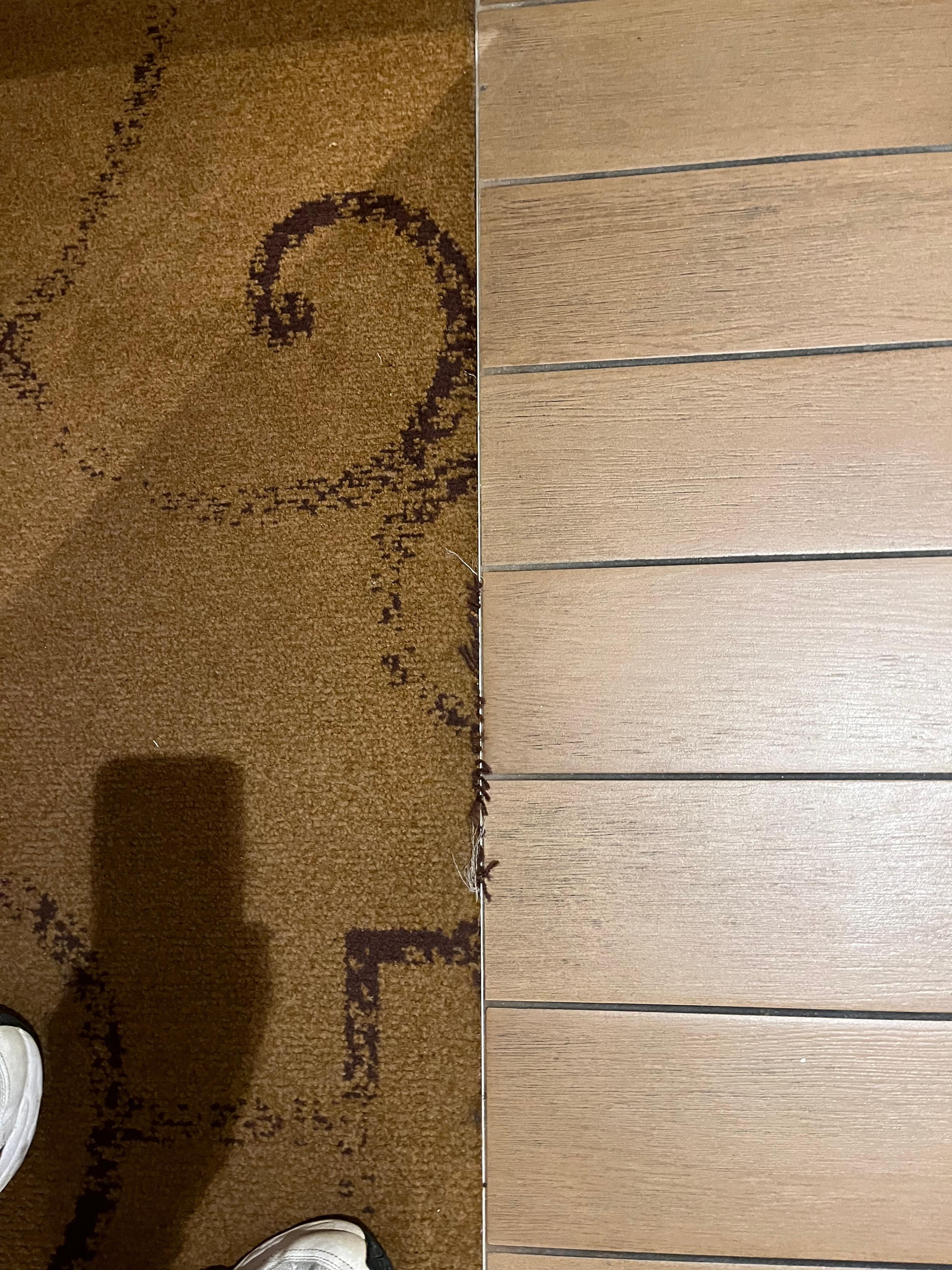 Carpet raveling as you walk in.