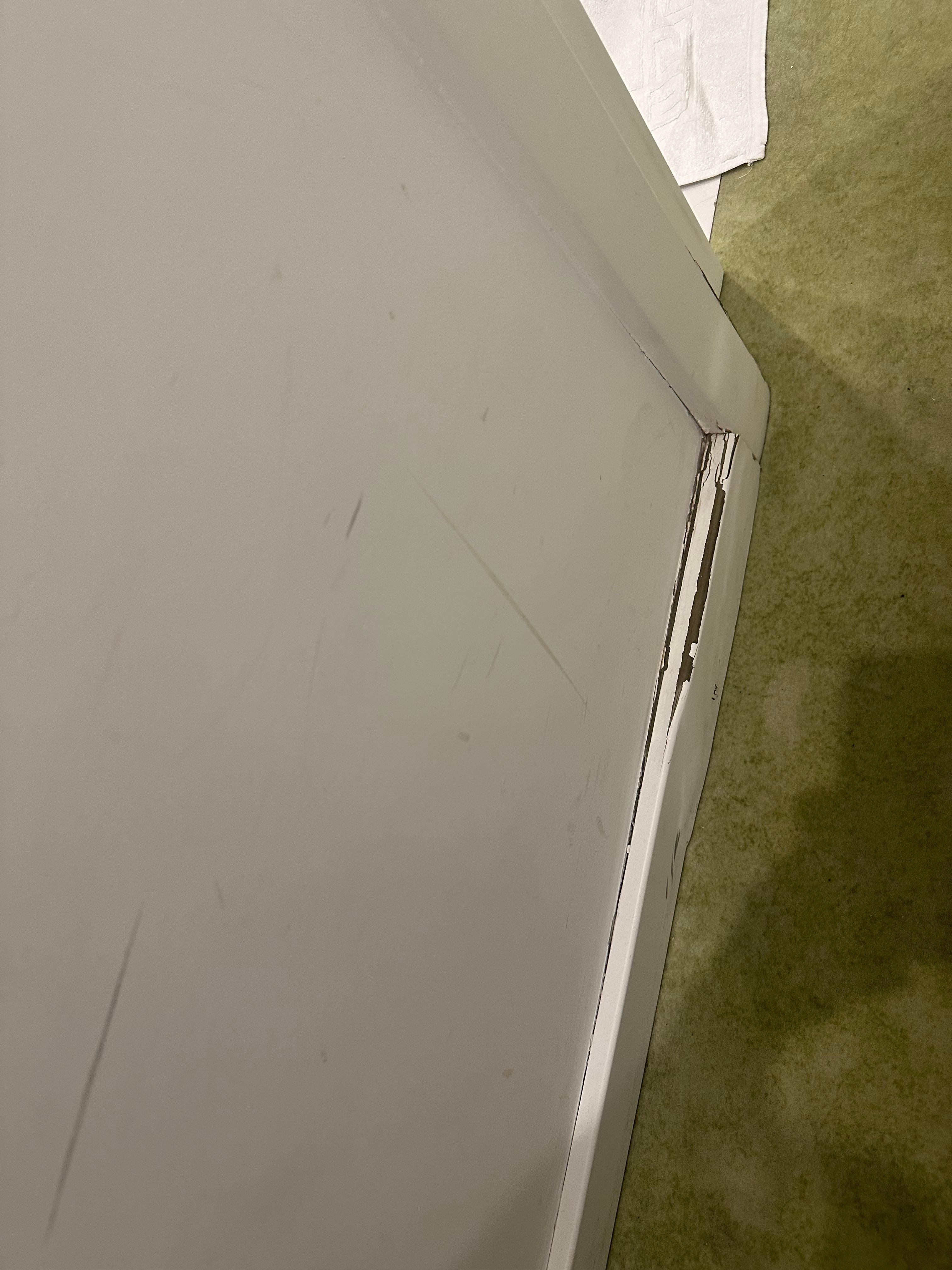 we also found a centipede in the w.c. (not photoed here) 