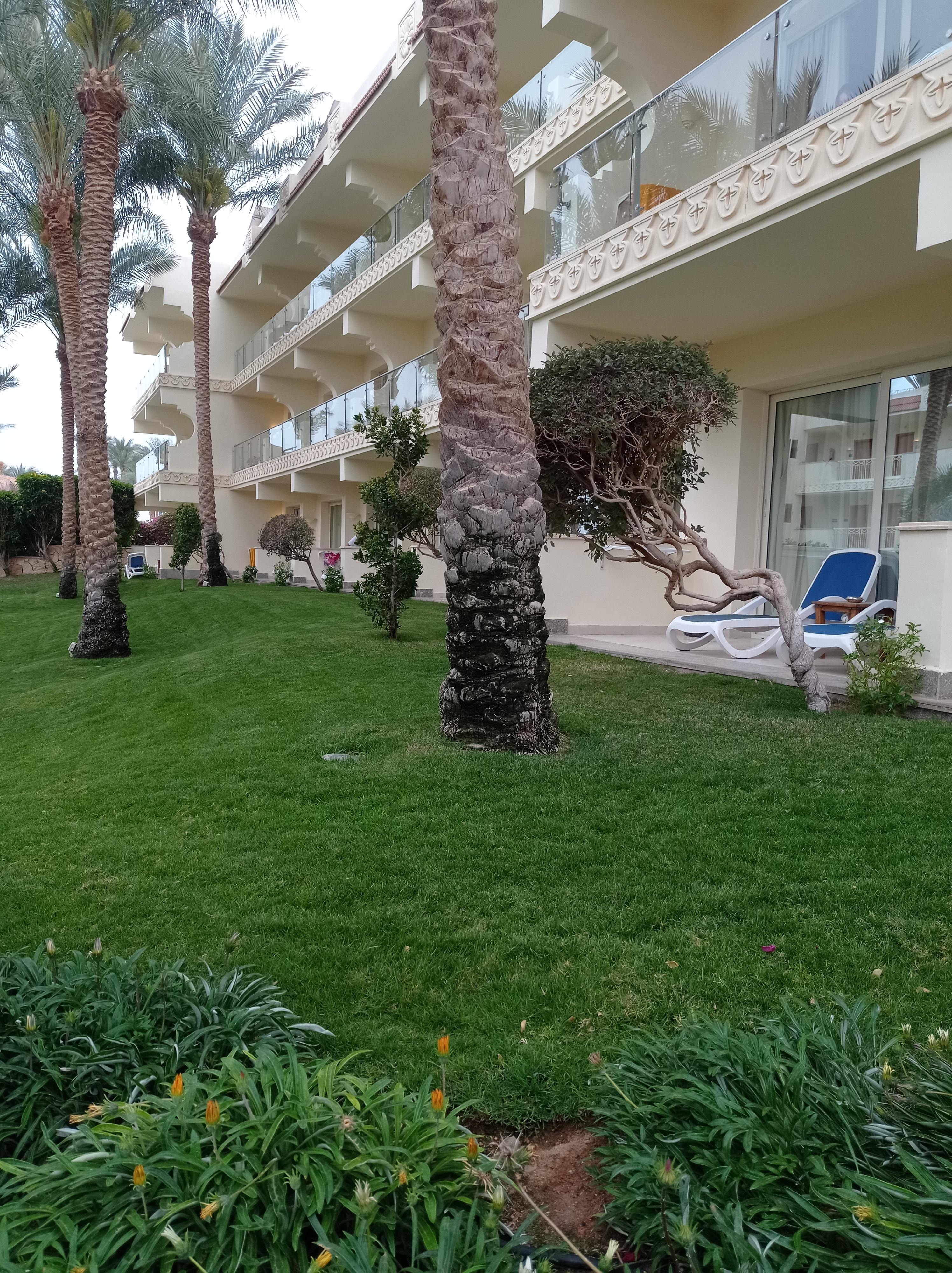 Grass between room and "swim up"room
