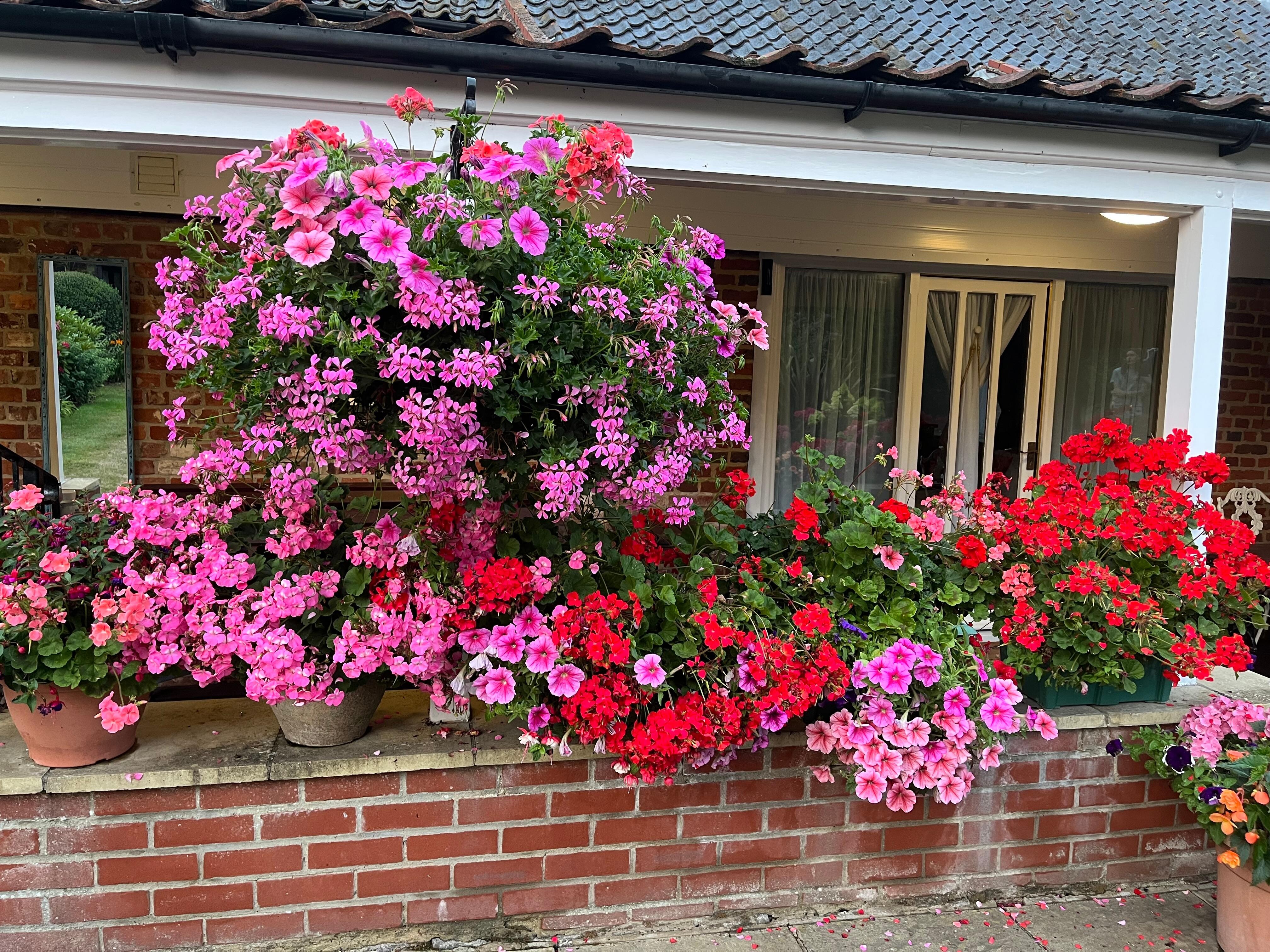 Beautiful baskets!