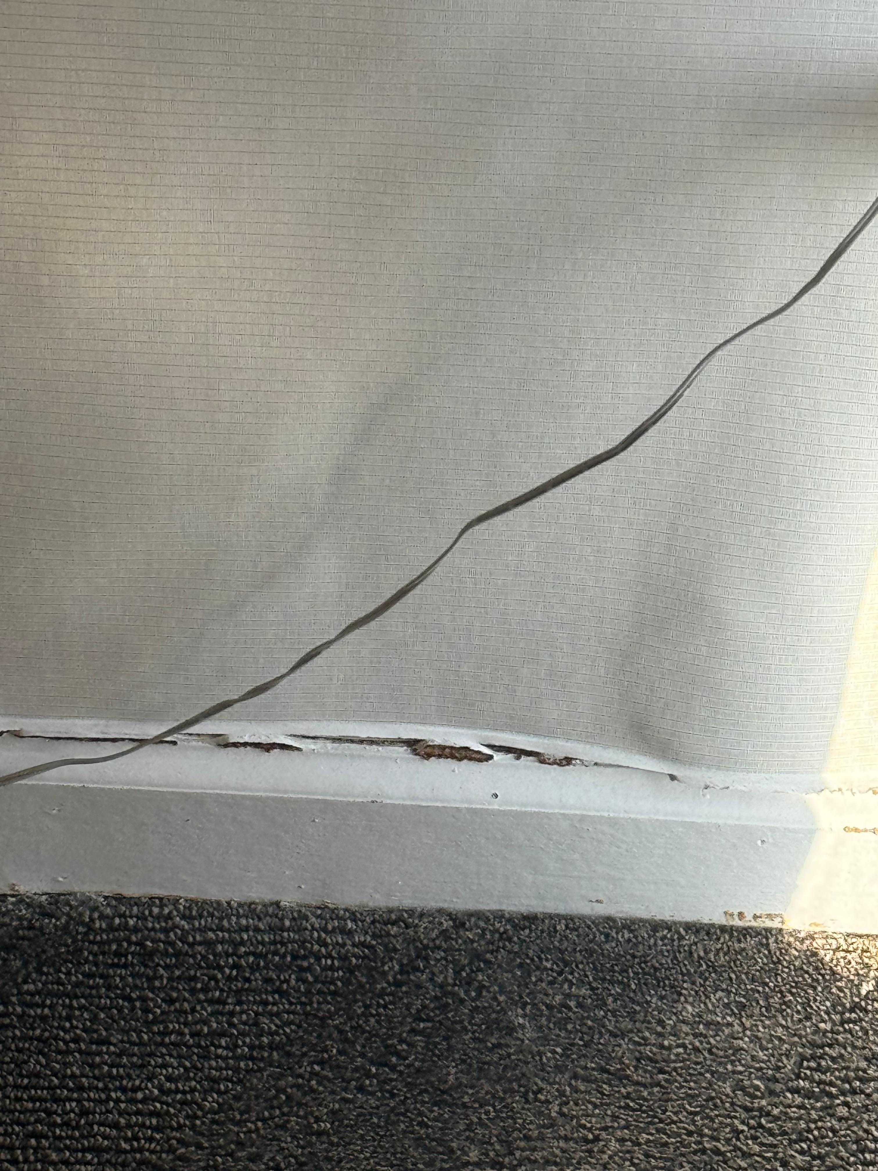 The water damage on the wall