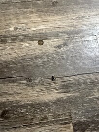 Something stuck to the floor