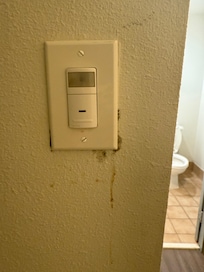 Looks like mold