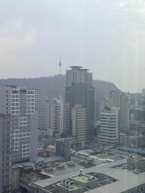 View from the bedroom