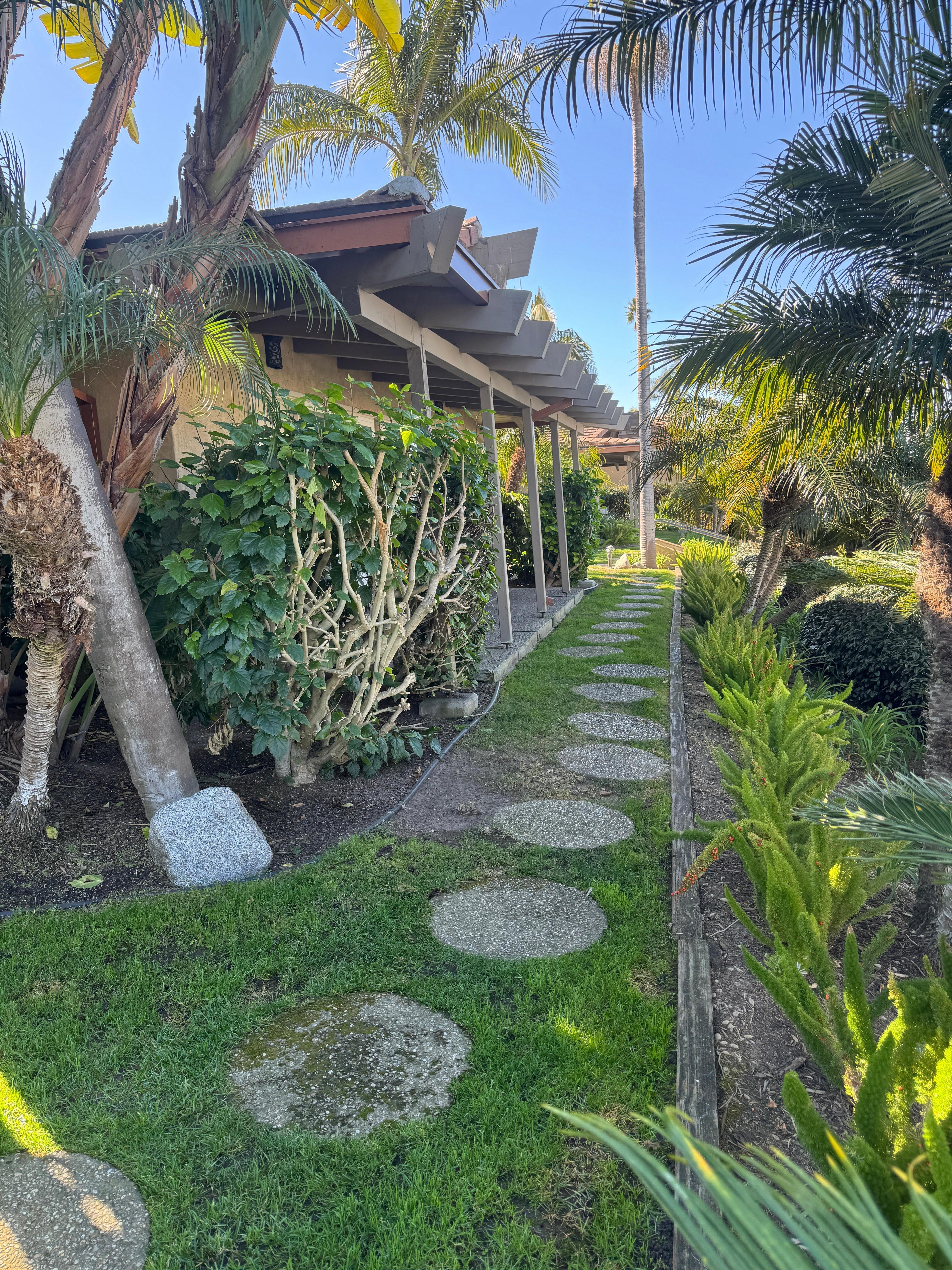 The path to the room