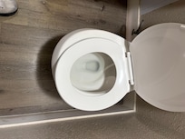 Broken toilet seat