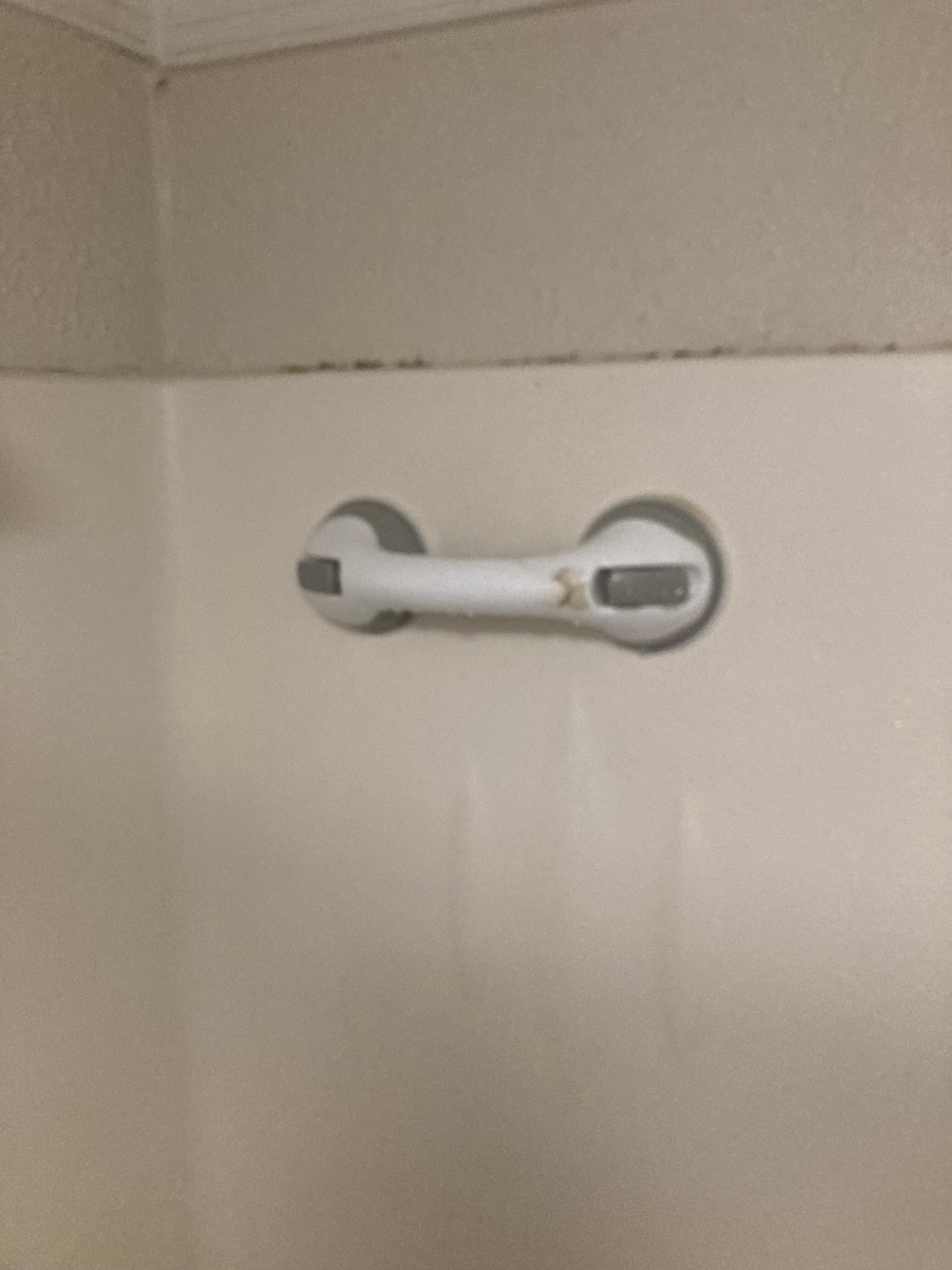 Shower hand grip