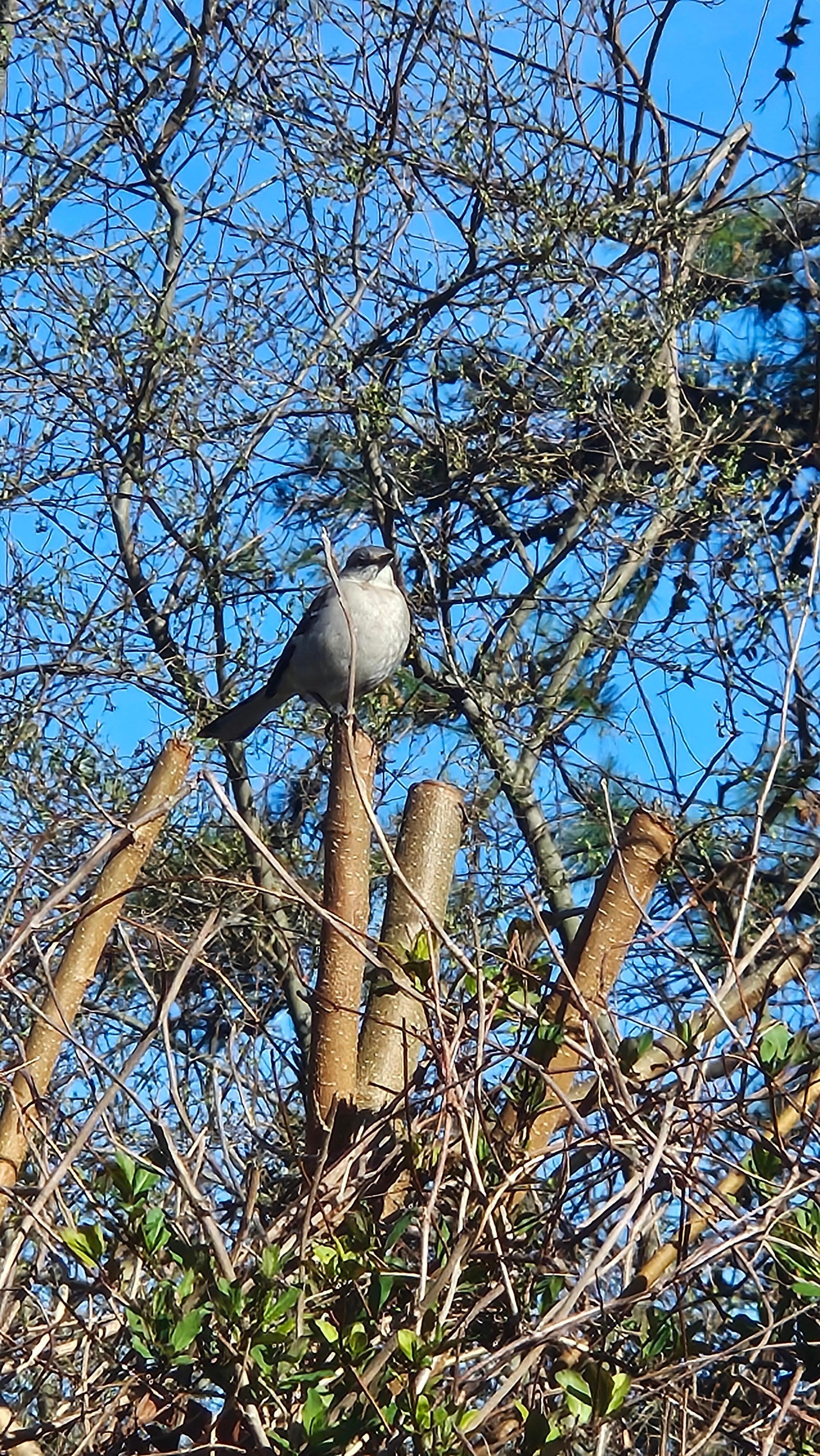 Sitting right above where we parked...the outside was lovely,  well maintained and lots of parking. 