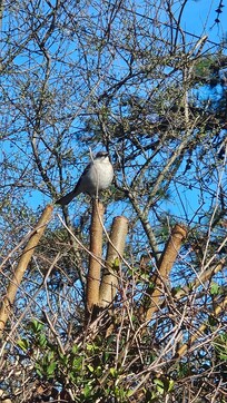 Sitting right above where we parked...the outside was lovely, well maintained and lots of parking.