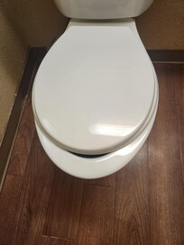 The toilet seat was smaller than the toilet