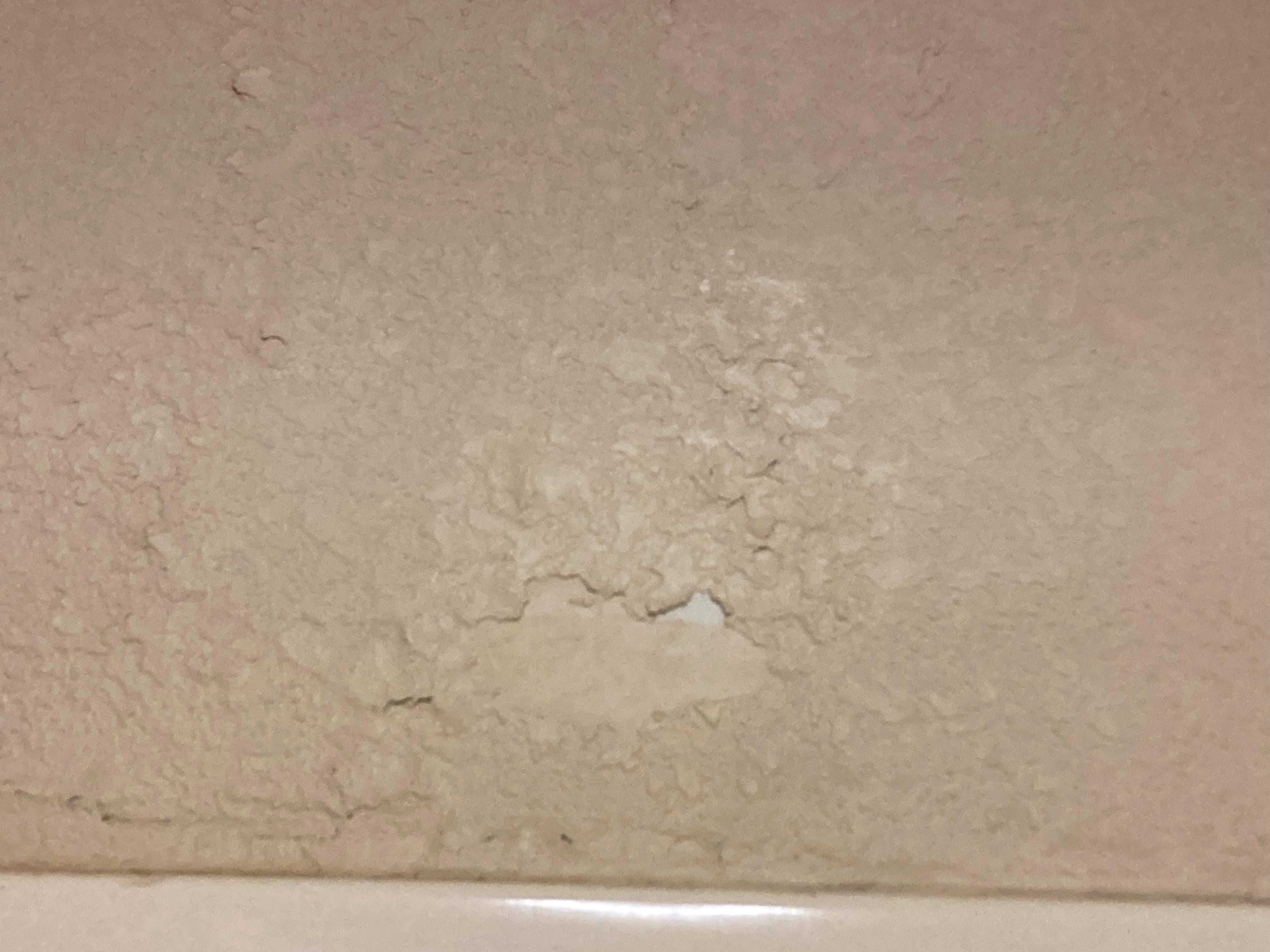 Peeling paint in shower