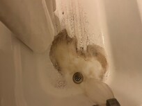 This is the water when we ran the tub