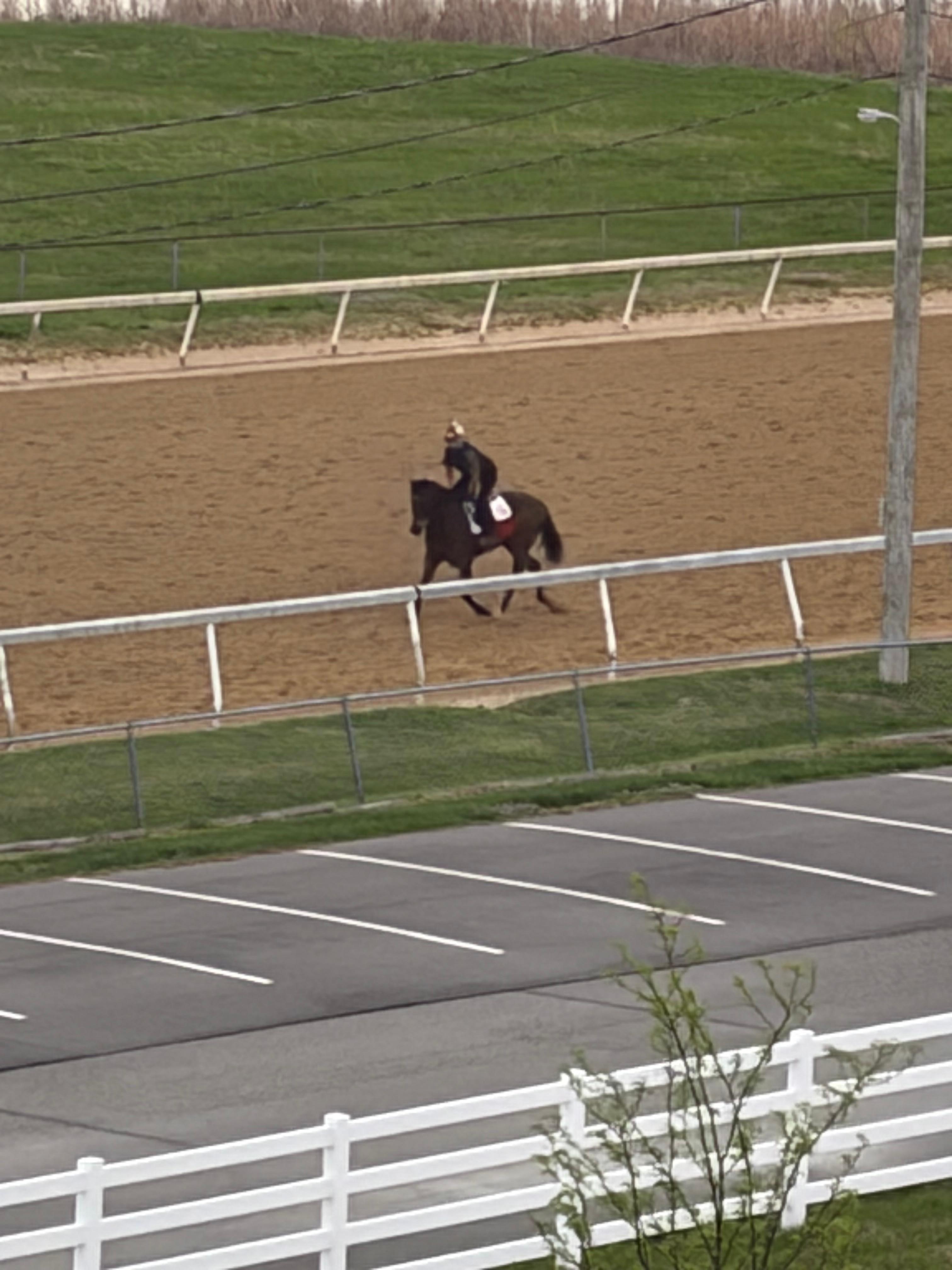 I love looking out my hotel window and seeing the horses on the track. 