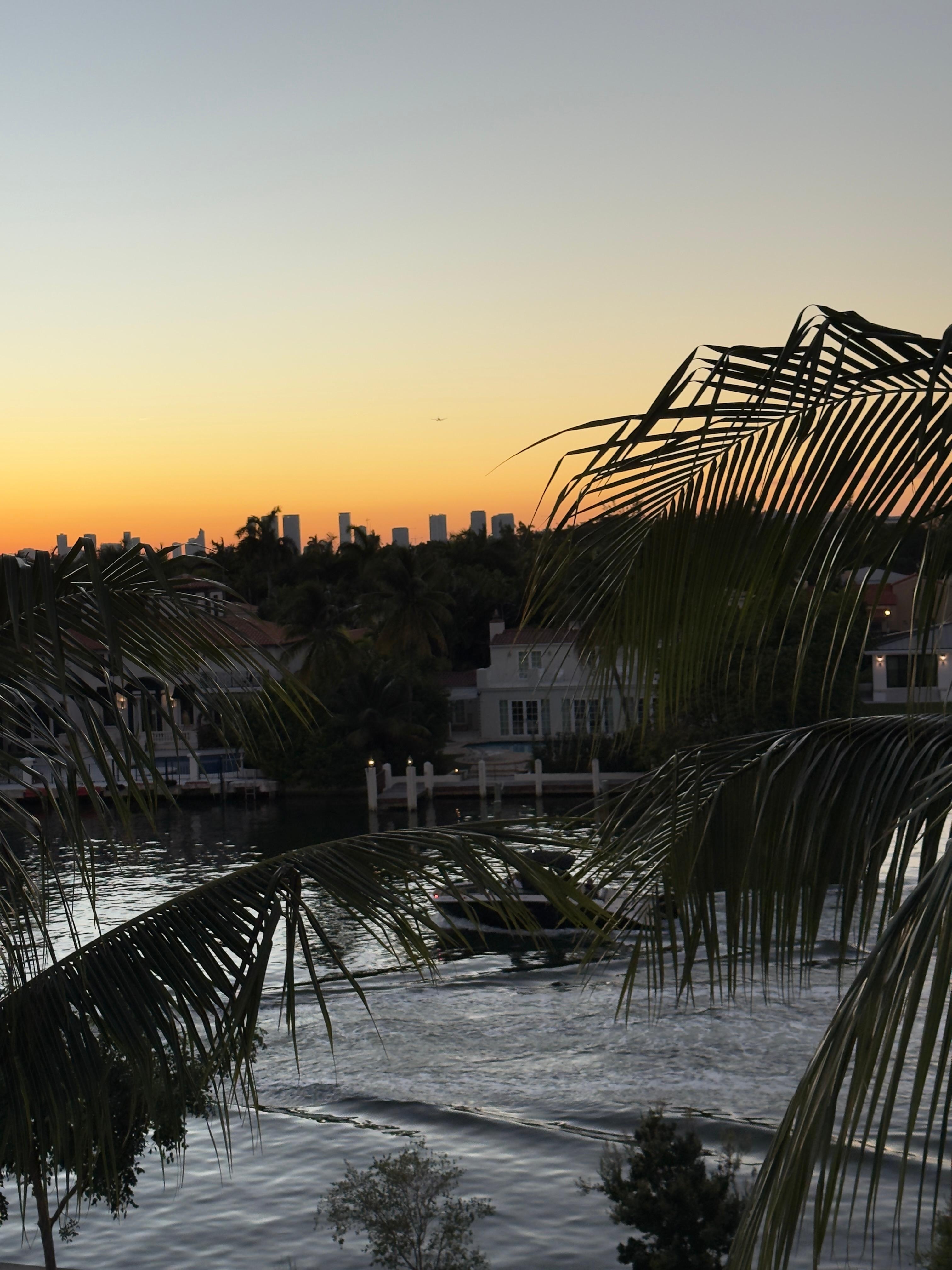 Vistas desde la Terraza 