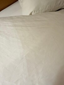 Hair on bed and pillow